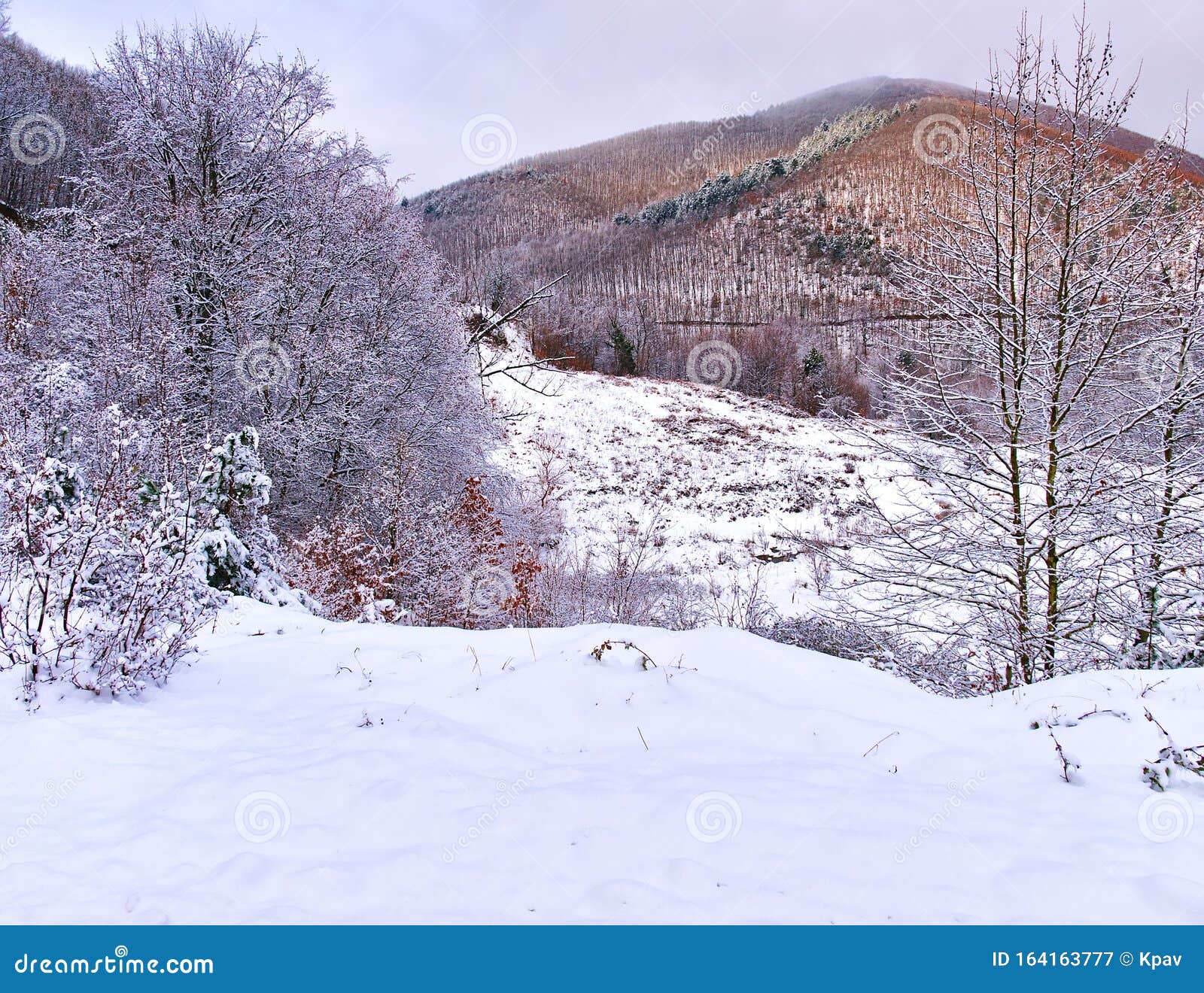 Snow, Mountains, Ridges and Bare Trees. Winter Landscape Stock Image ...