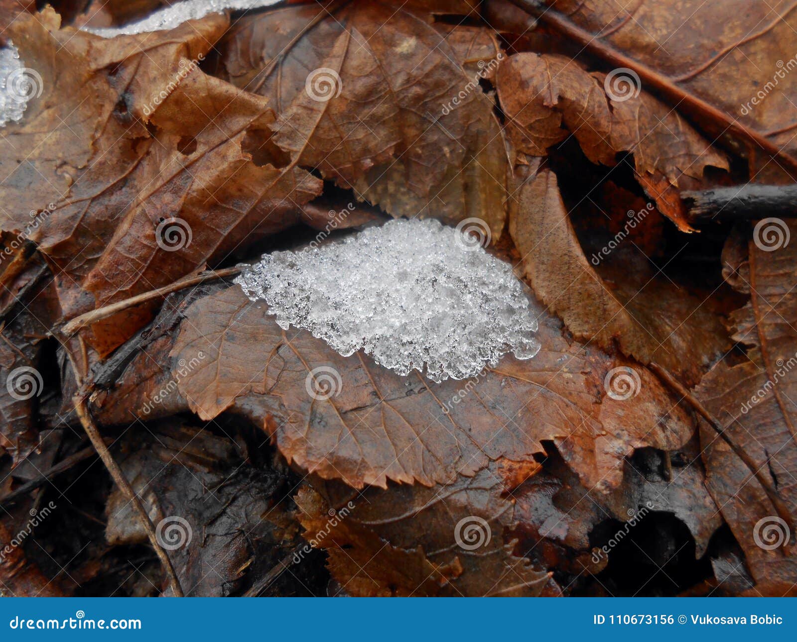 Snow stock photo. Image of neutral, cold, fresh, background - 110673156