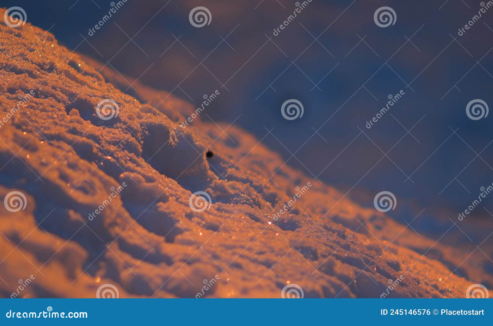 Snow in the night lights stock photo. Image of night - 245146576