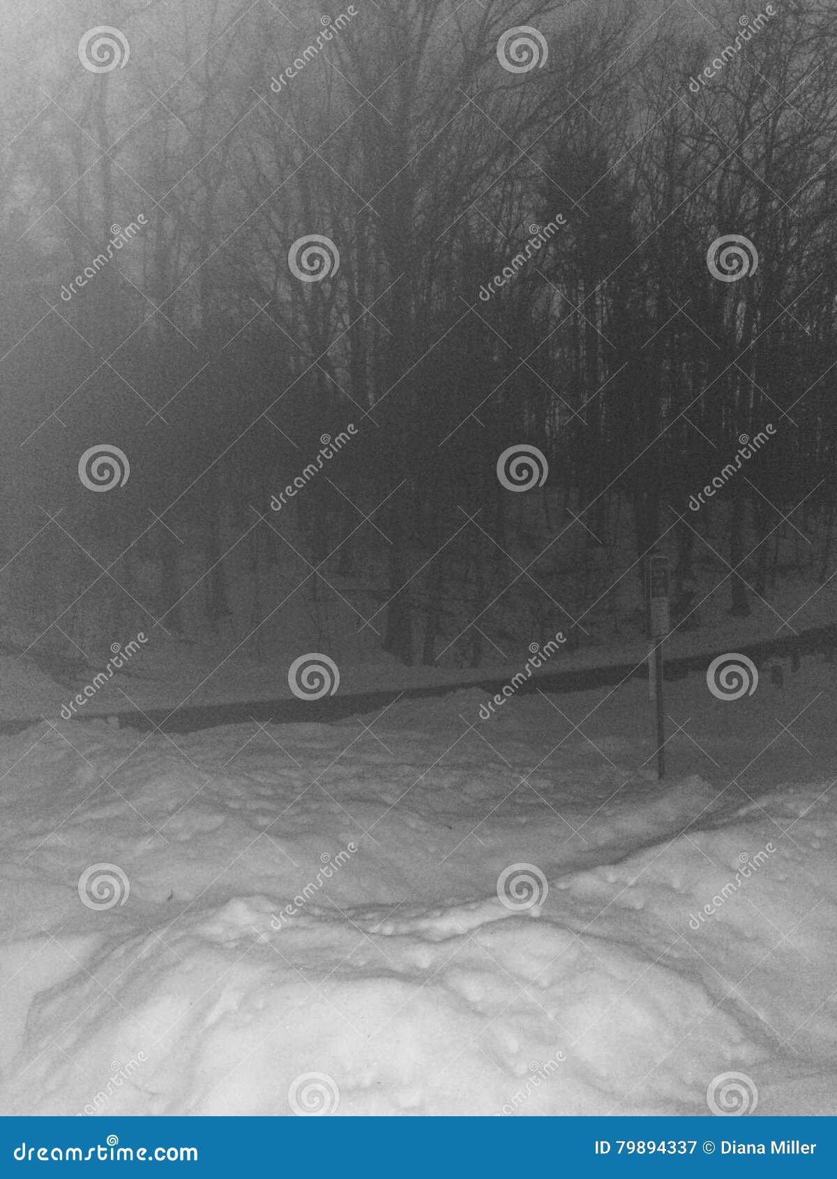 Snow at night stock image. Image of night, snowy, field - 79894337
