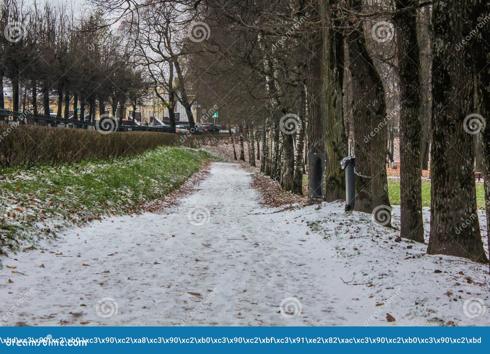 Snow in October in the Park Stock Image - Image of tree, cold: 103120895
