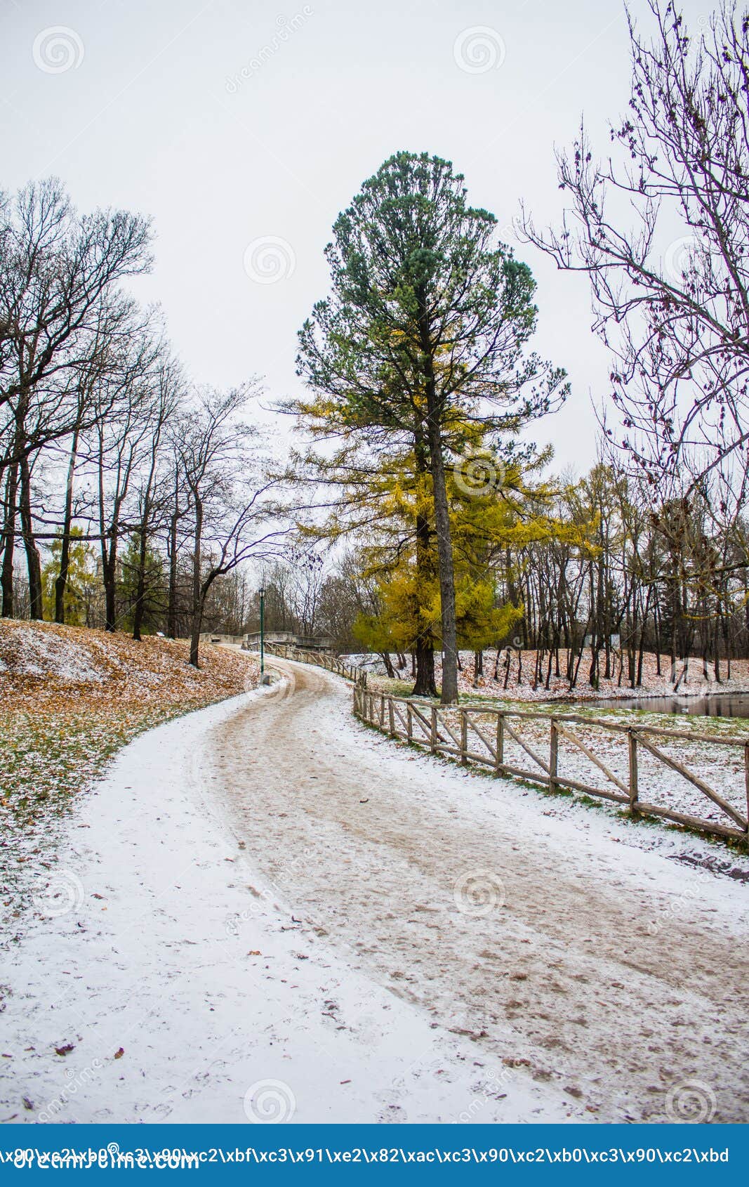 Snow in October in the Park Stock Photo - Image of branch, autumn ...