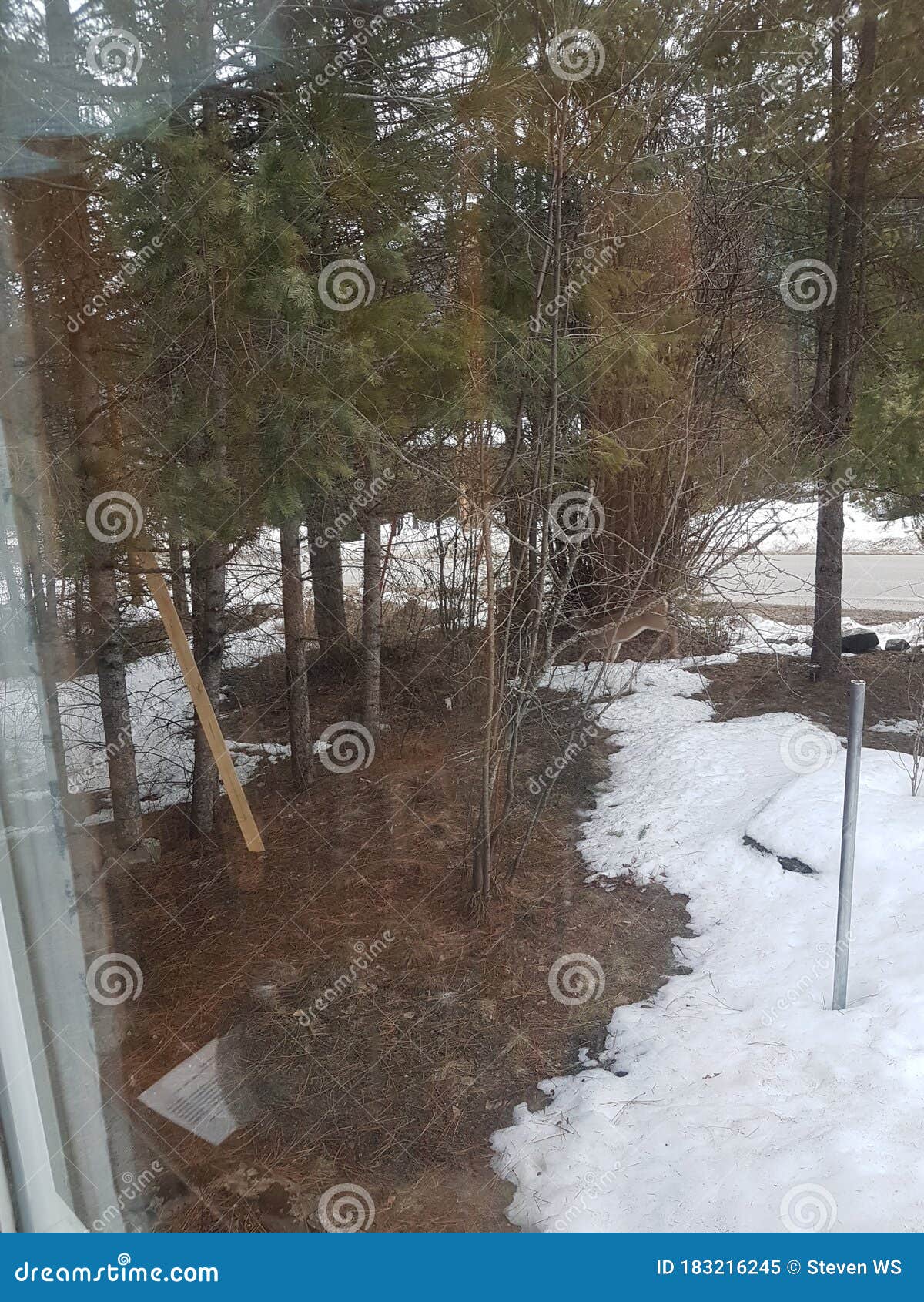 Snow outside the Window stock image. Image of wood, plant - 183216245
