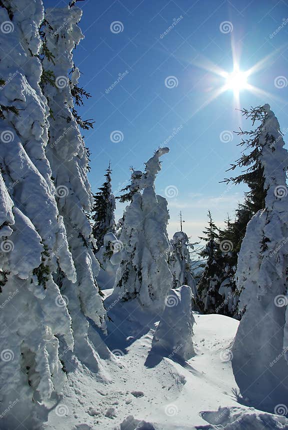 Snow paradise stock image. Image of paradise, slovakia - 23425705