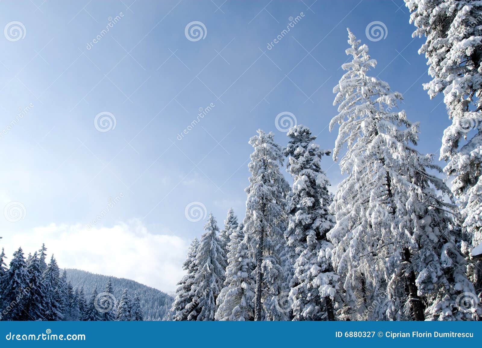 Snow Paradise Picture. Image: 6880327