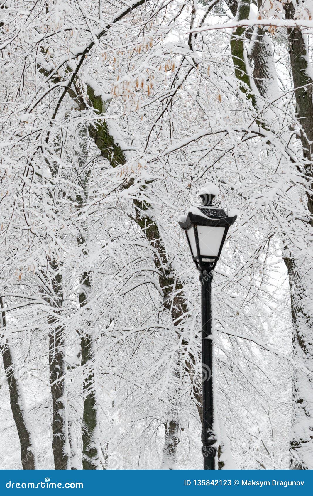 Snow in the park stock image. Image of europe, blizzard - 135842123