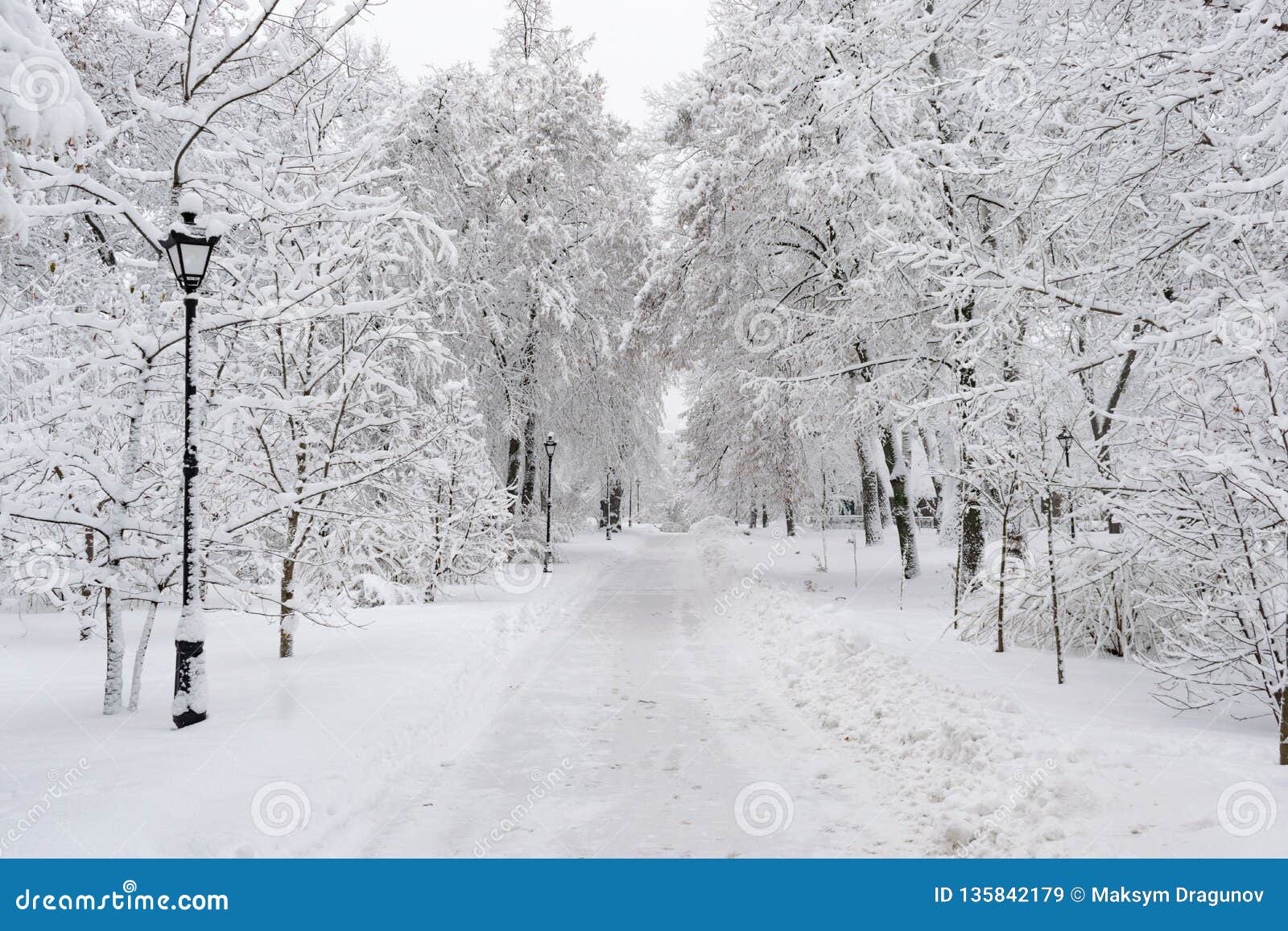 Snow in the park stock image. Image of city, cold, seasonal - 135842179