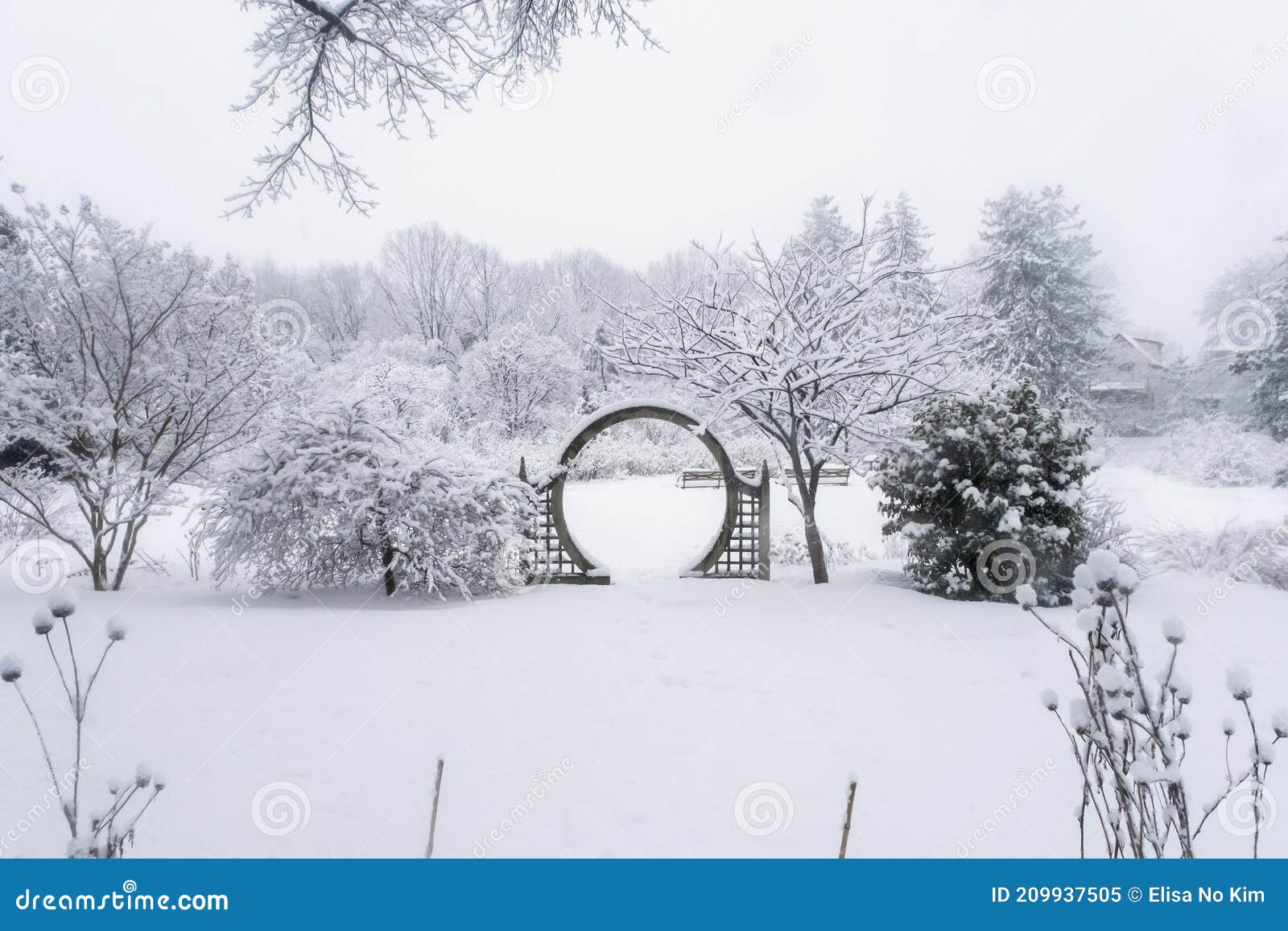 Snow in the park stock image. Image of trees, weeping - 209937505