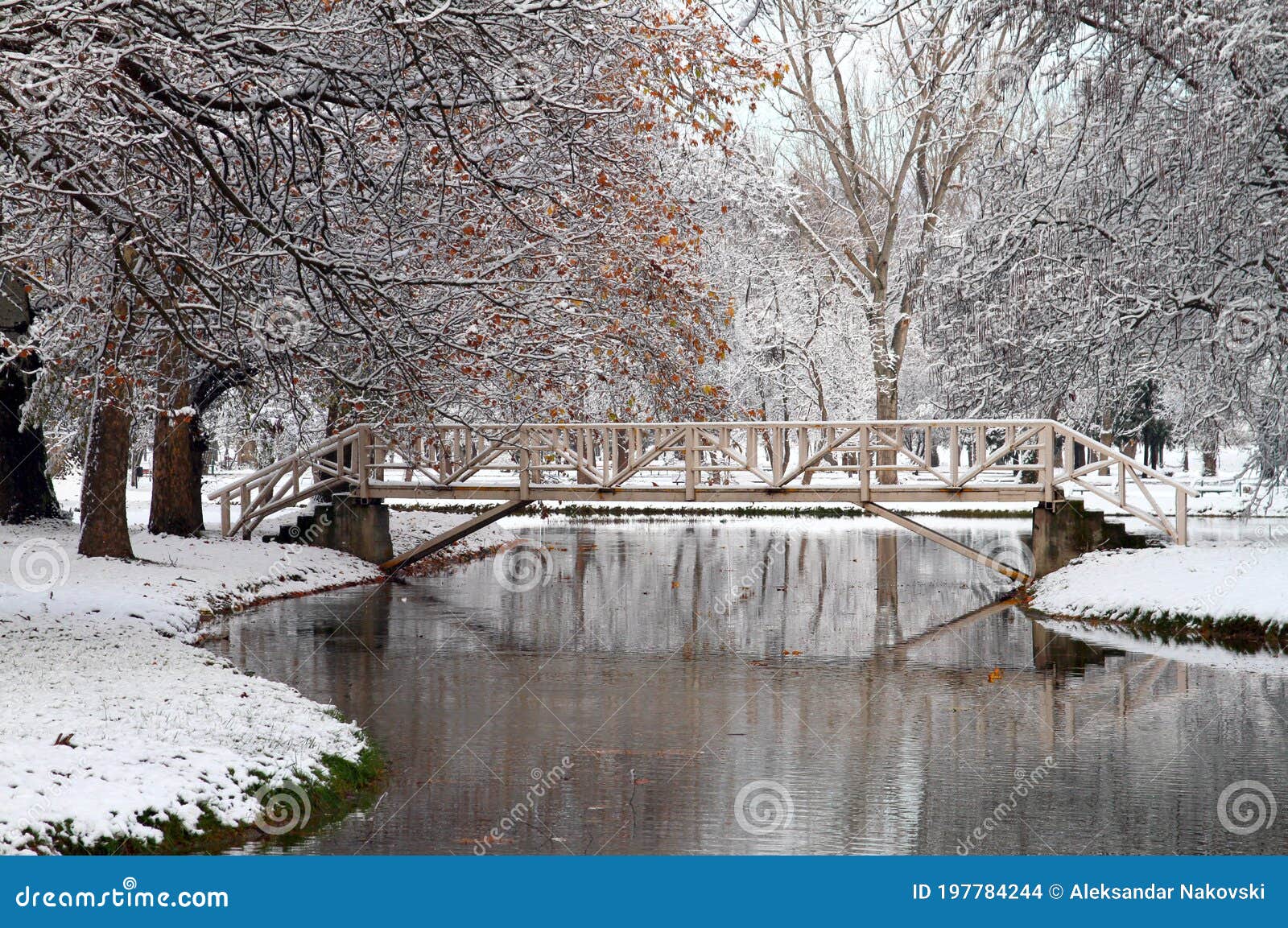 Snow in the Park stock photo. Image of relaxation, landscape - 197784244