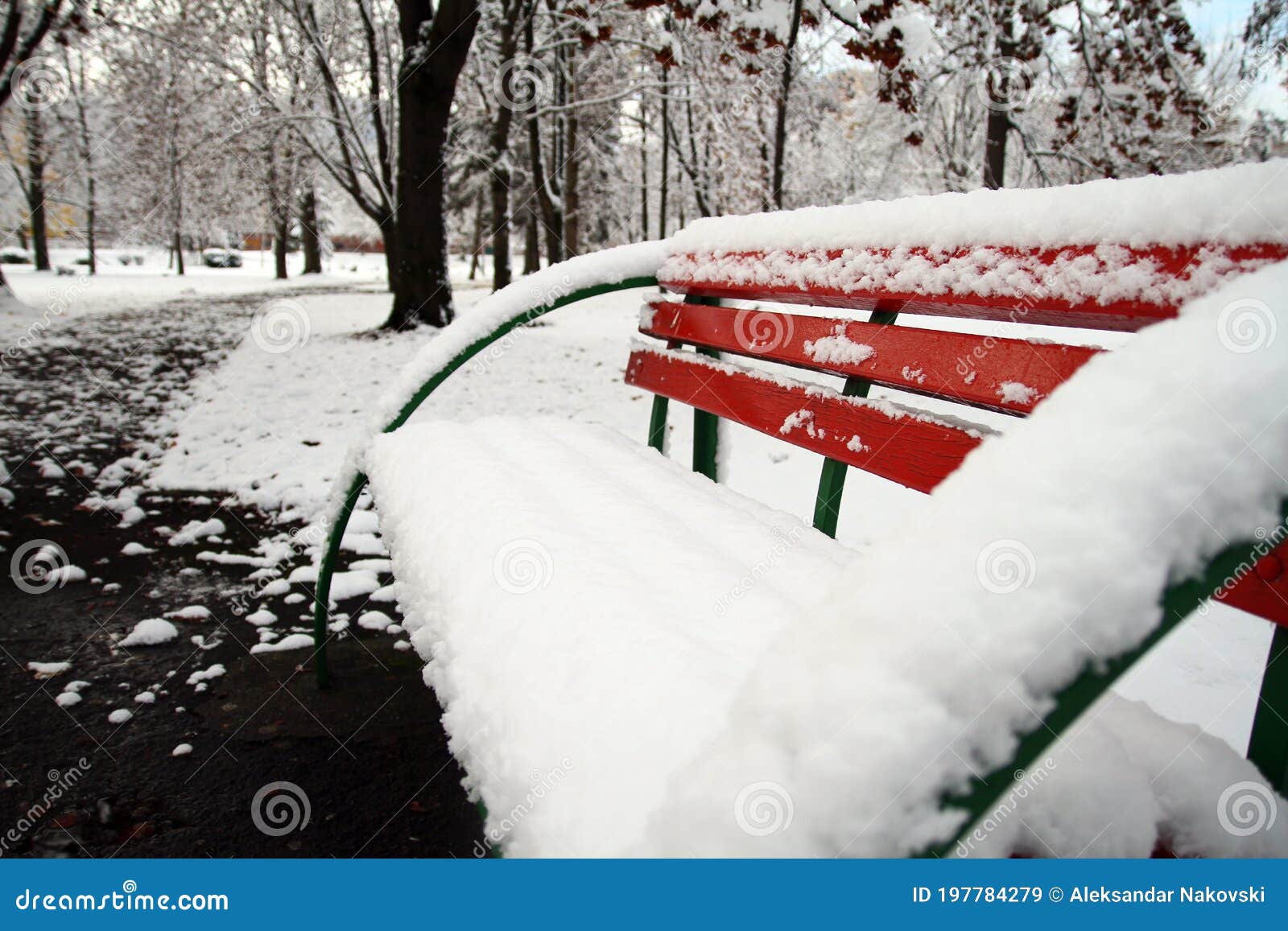 Snow in the Park stock image. Image of cloud, outdoor - 197784279