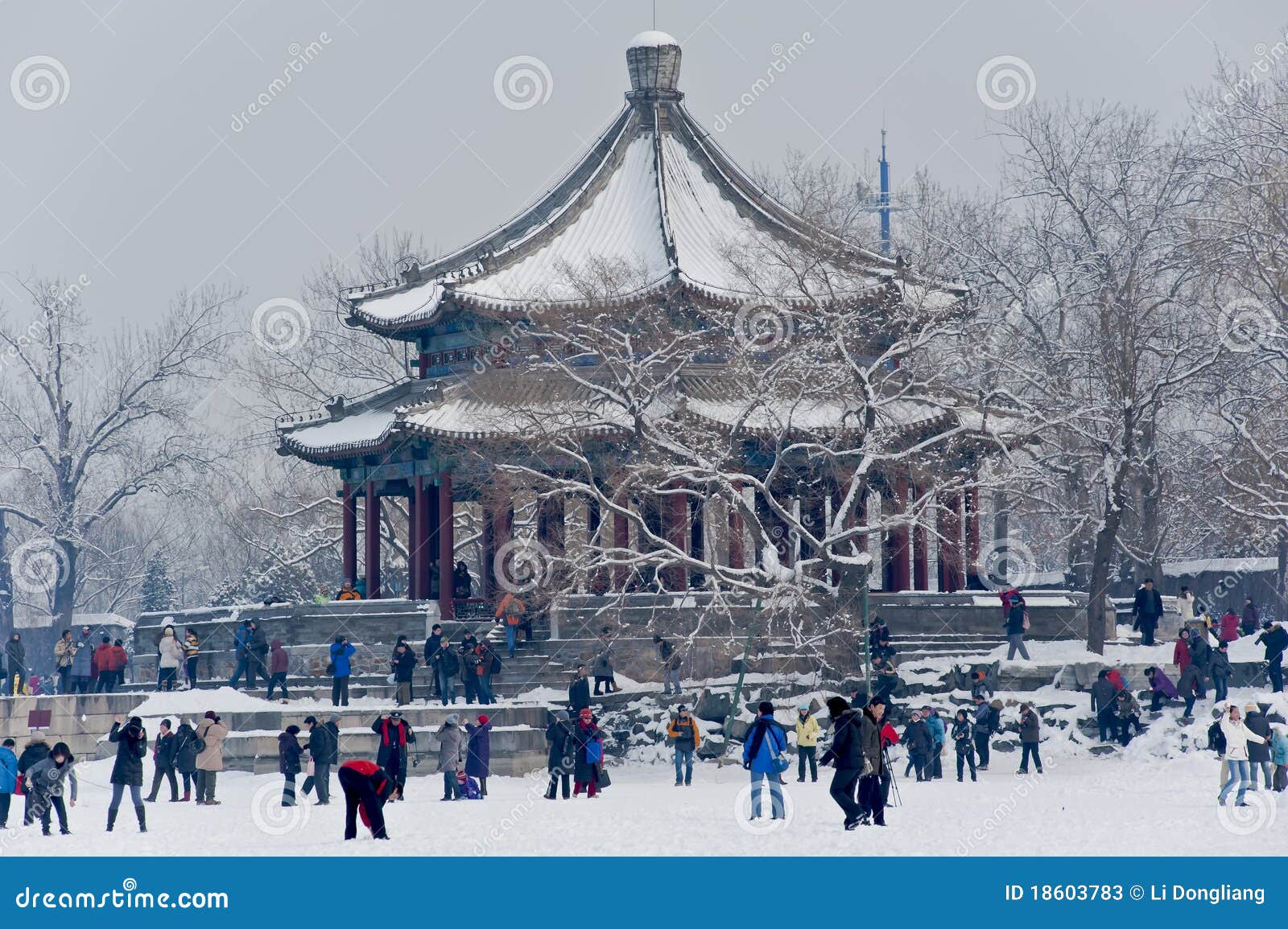 Snow party. editorial stock photo. Image of excited, meetings - 18603783