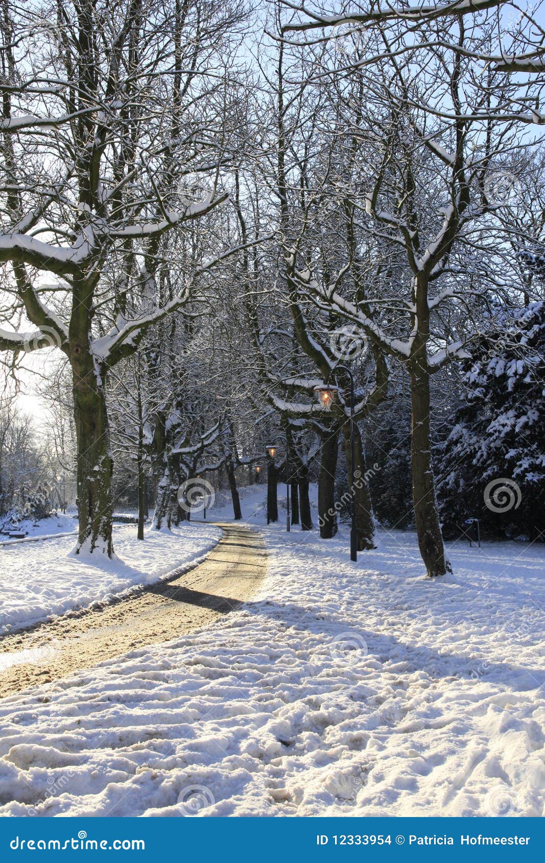 Snow path stock photo. Image of covered, landscape, snow - 12333954