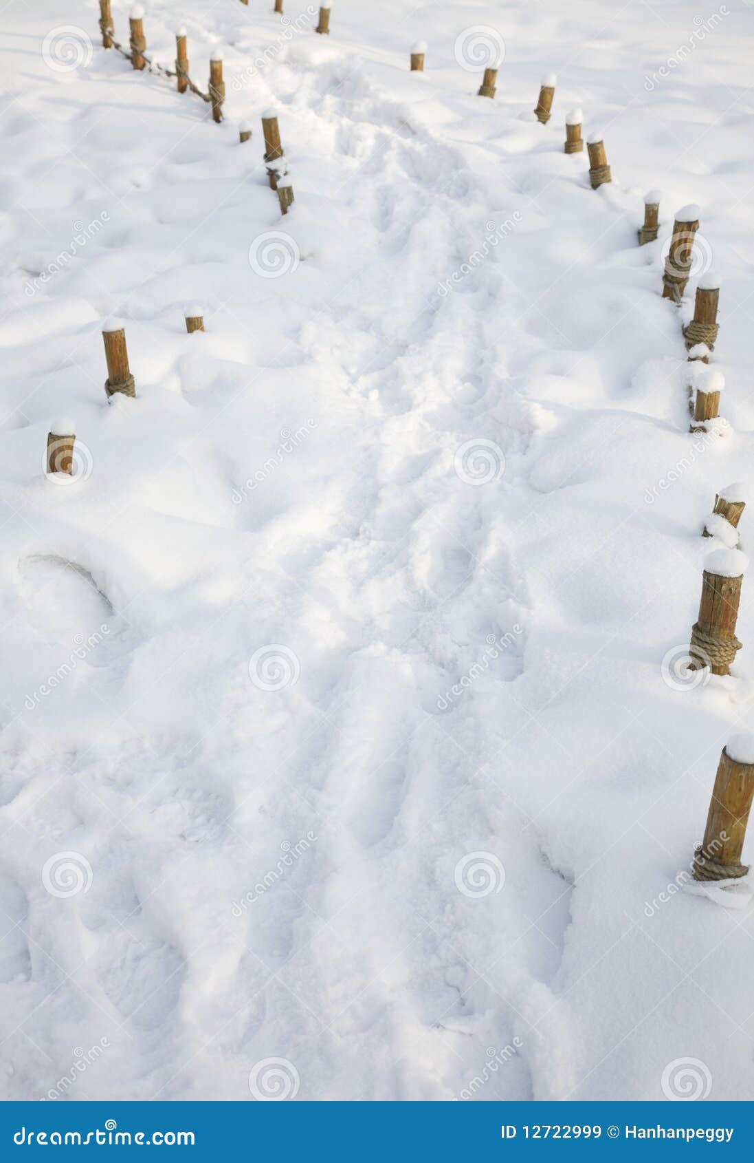 Snow path stock image. Image of footpath, december, landscape - 12722999