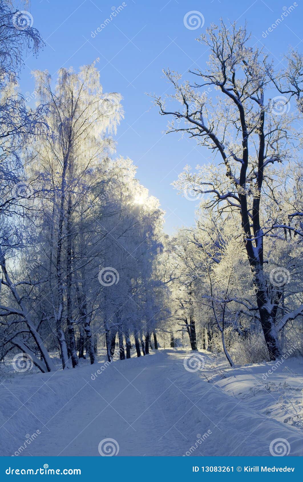 Snow path stock image. Image of bright, clear, footprint - 13083261