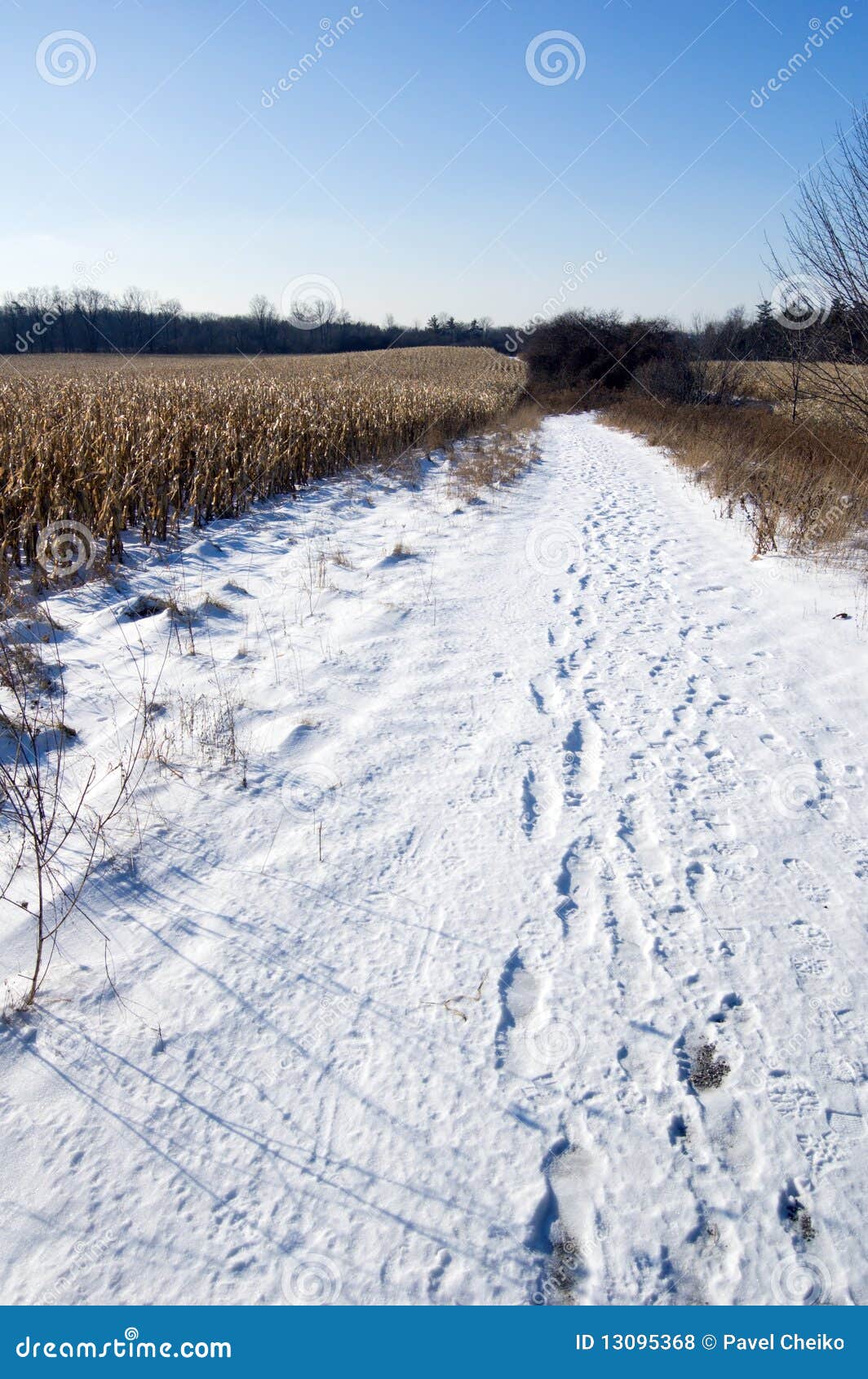Snow path stock photo. Image of ontario, rural, architecture - 13095368