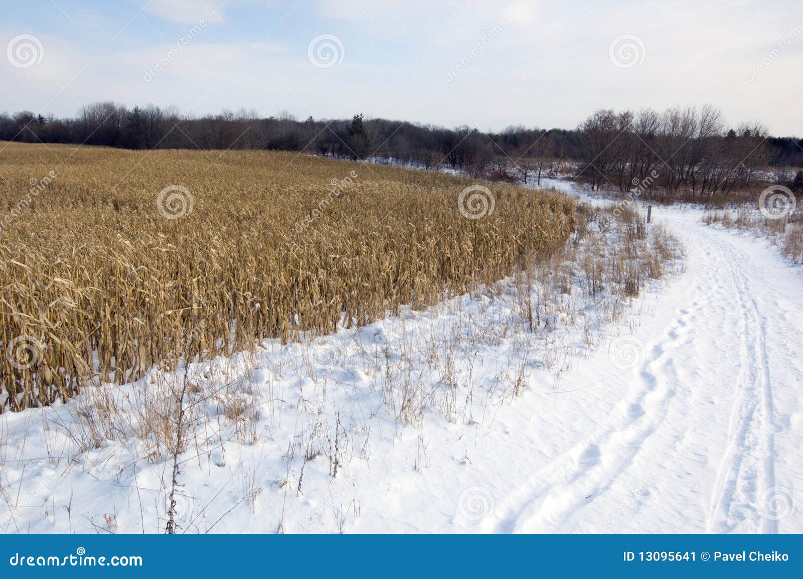 Snow path stock image. Image of organic, peaceful, canada - 13095641