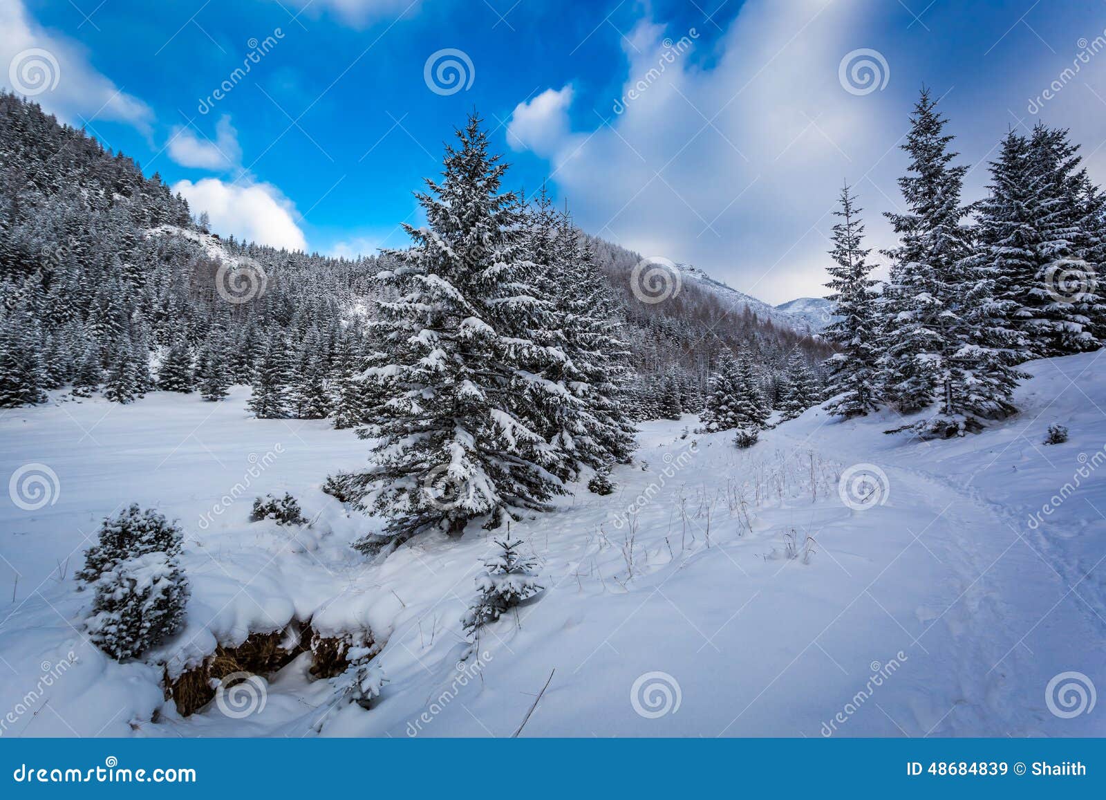 Snow Path in the Mountain Valley Stock Image - Image of hiking ...