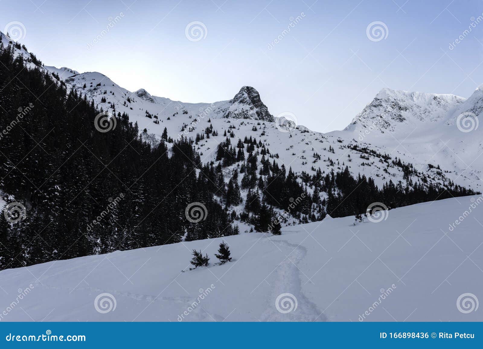 Snow Path in the Mountains stock photo. Image of snowy - 166898436