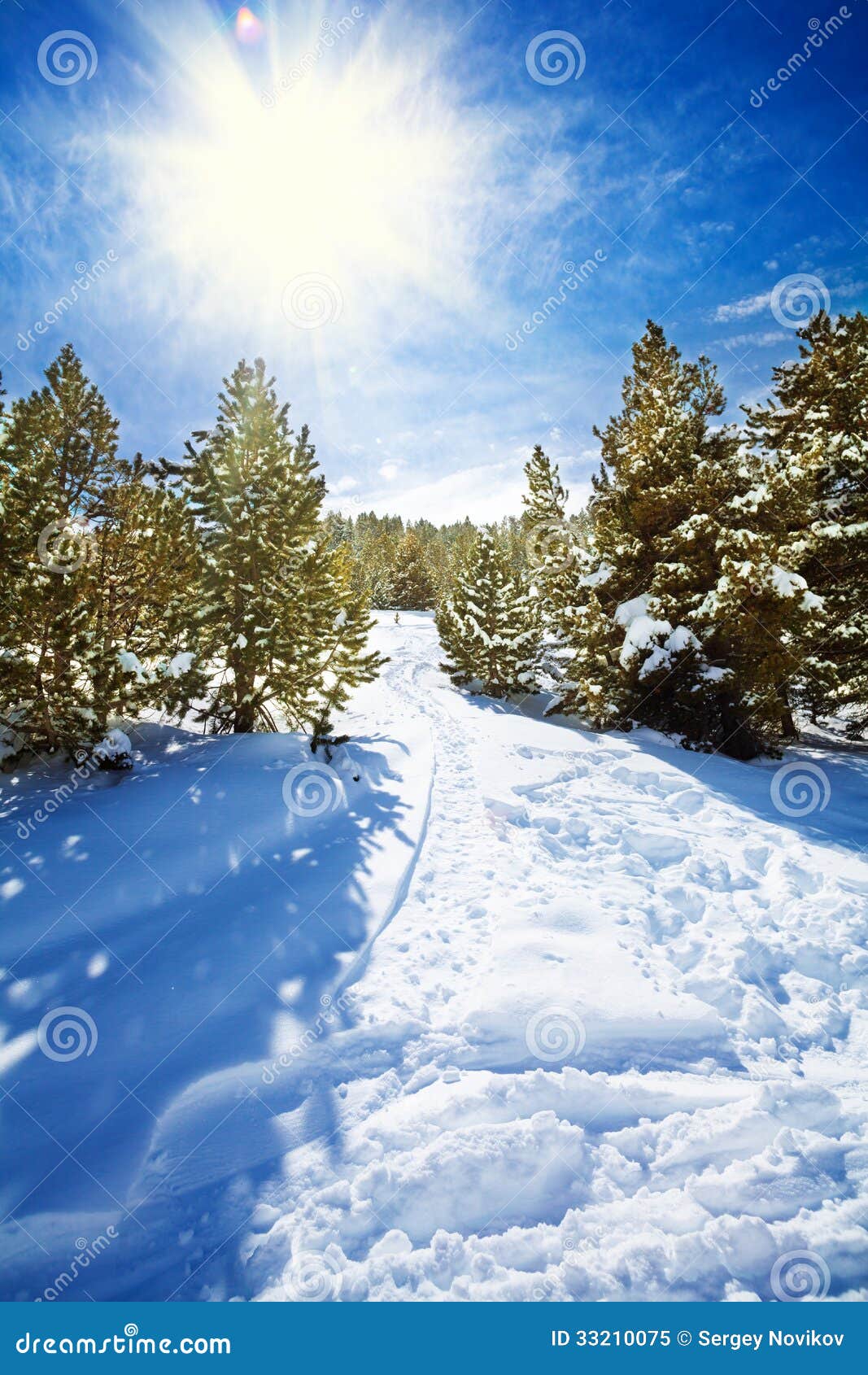 Snow Path in Snowy Mountain Forest Stock Image - Image of fresh ...