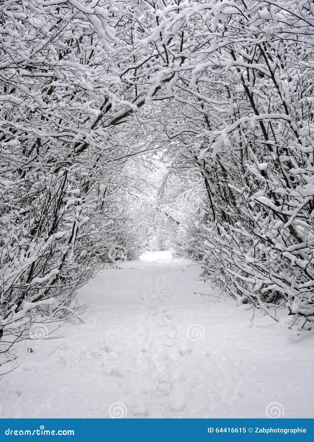 Snow Path stock image. Image of white, freezing, trace - 64416615