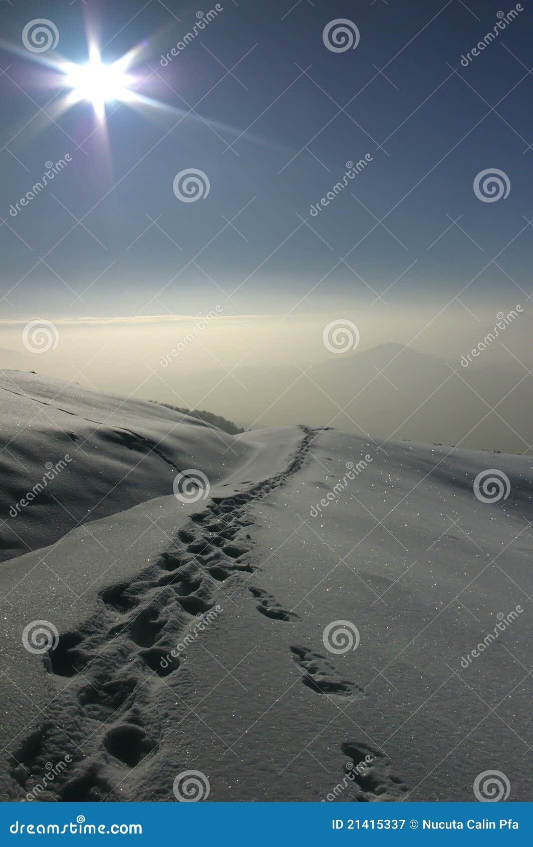 Snow path whit blue sky stock image. Image of snow, path - 21415337