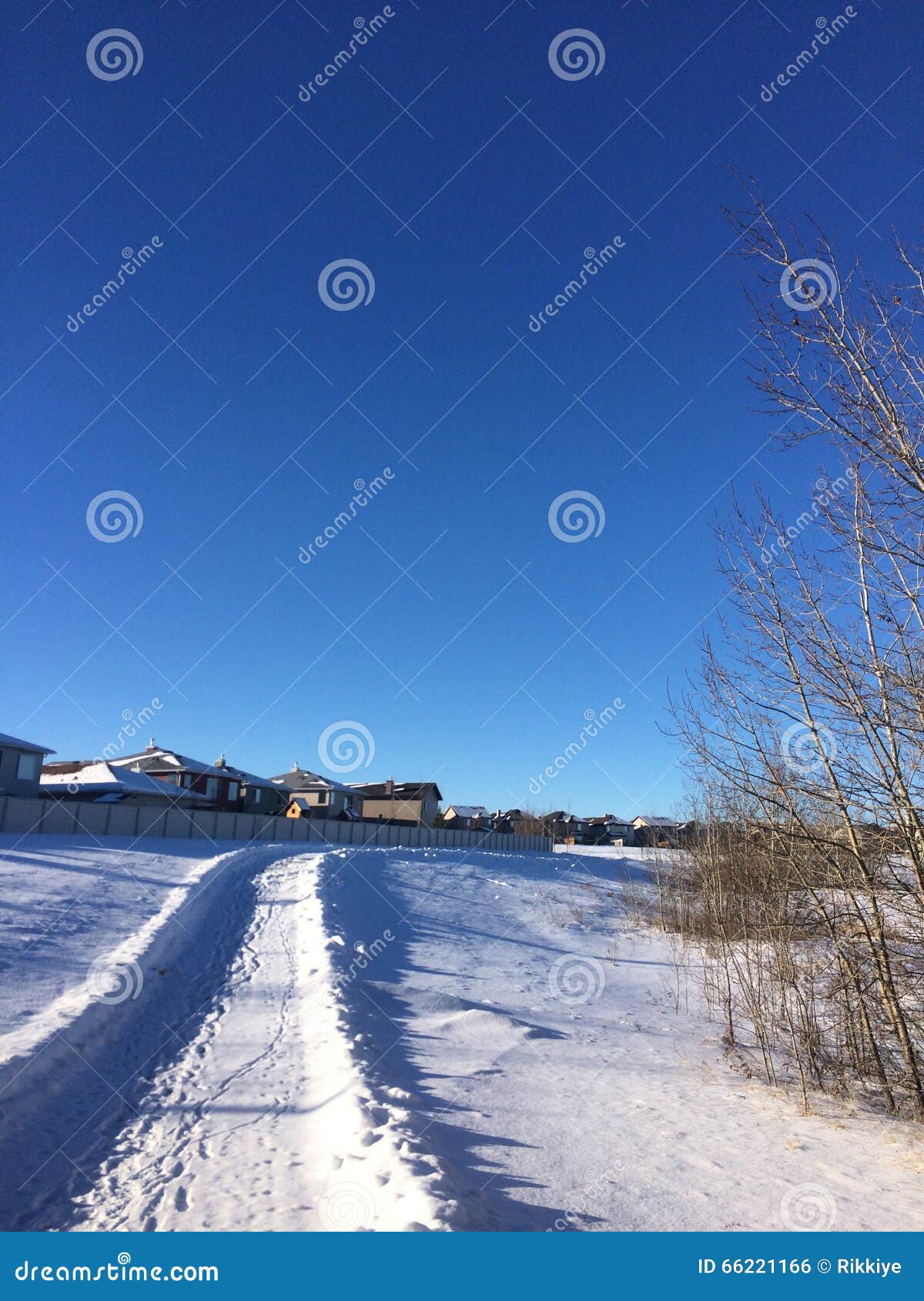Snow pathway stock photo. Image of clear, sunny, winter - 66221166