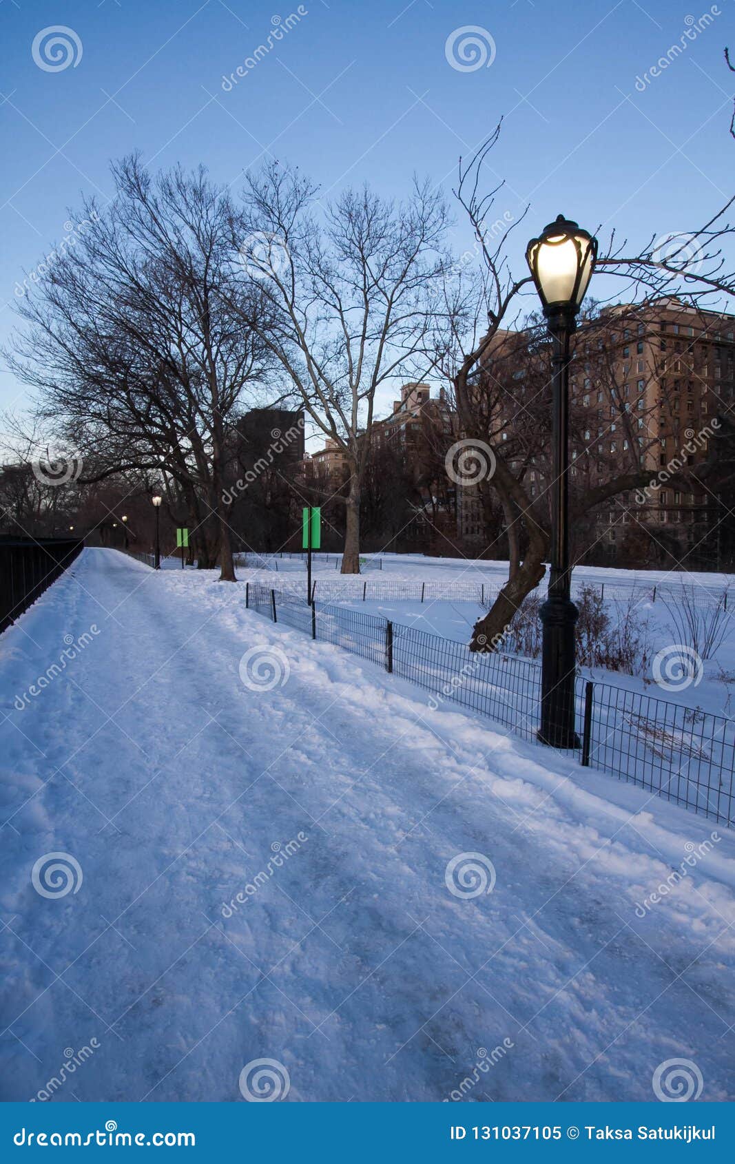 Snow Pathway at Park with Light Pole and Trees Stock Image - Image of ...
