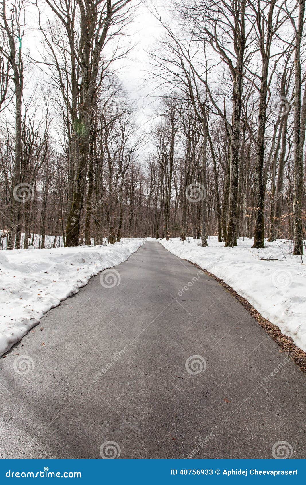 Snow pathway stock image. Image of outdoor, park, path - 40756933
