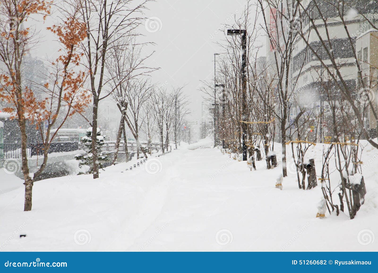 Snow pathway stock photo. Image of walk, travel, sapporo - 51260682