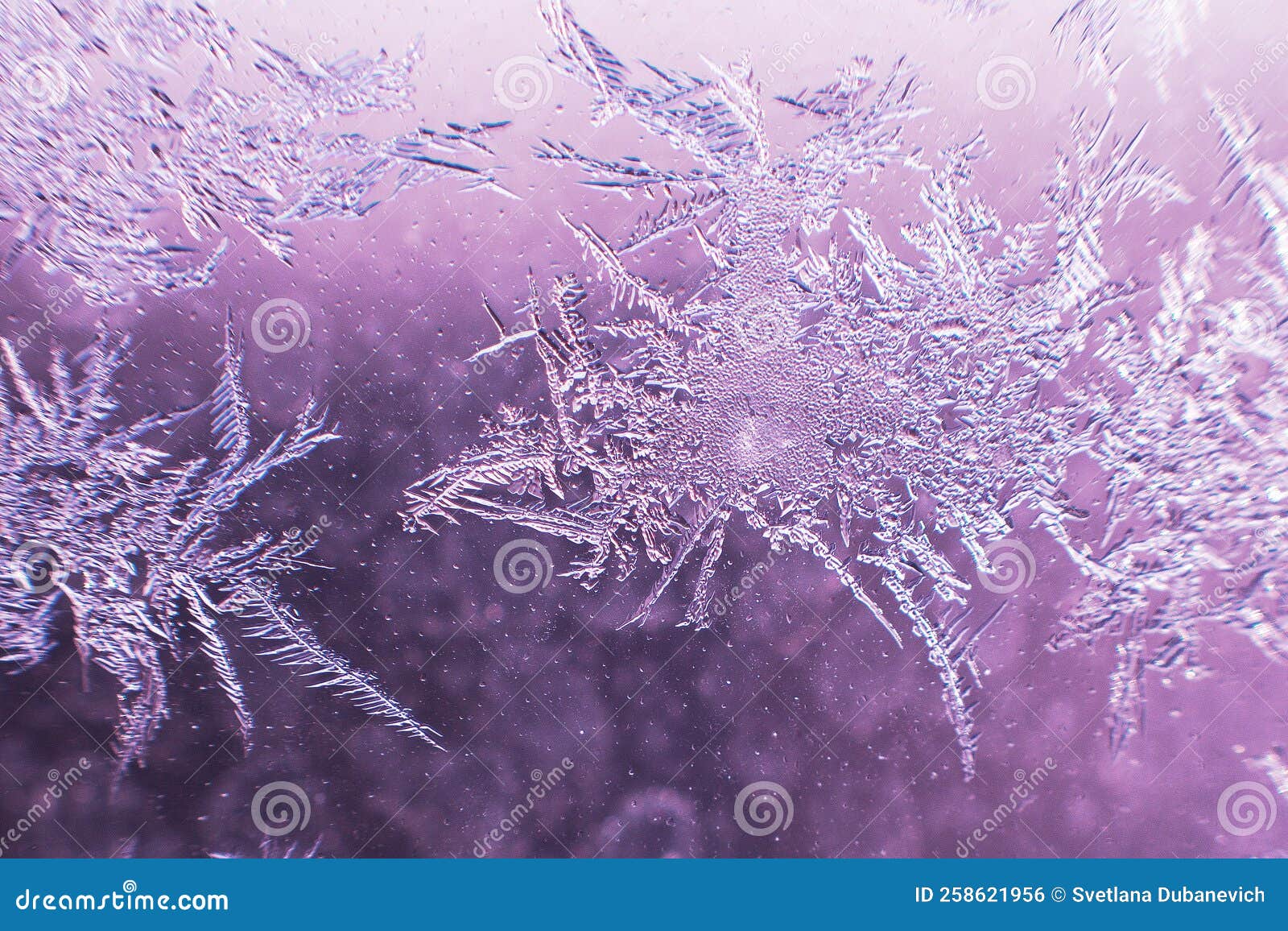 Snow Pattern on the Glass from Frost Stock Photo - Image of ornament ...