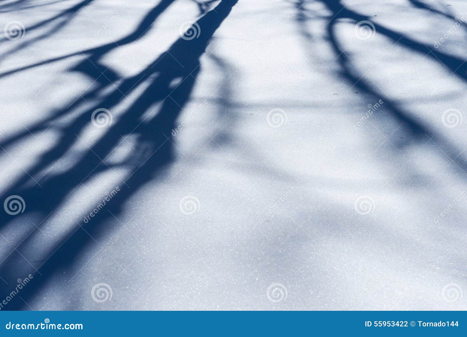 Snow Pattern. Shadows of Trees on the Snow Surface Stock Photo - Image ...