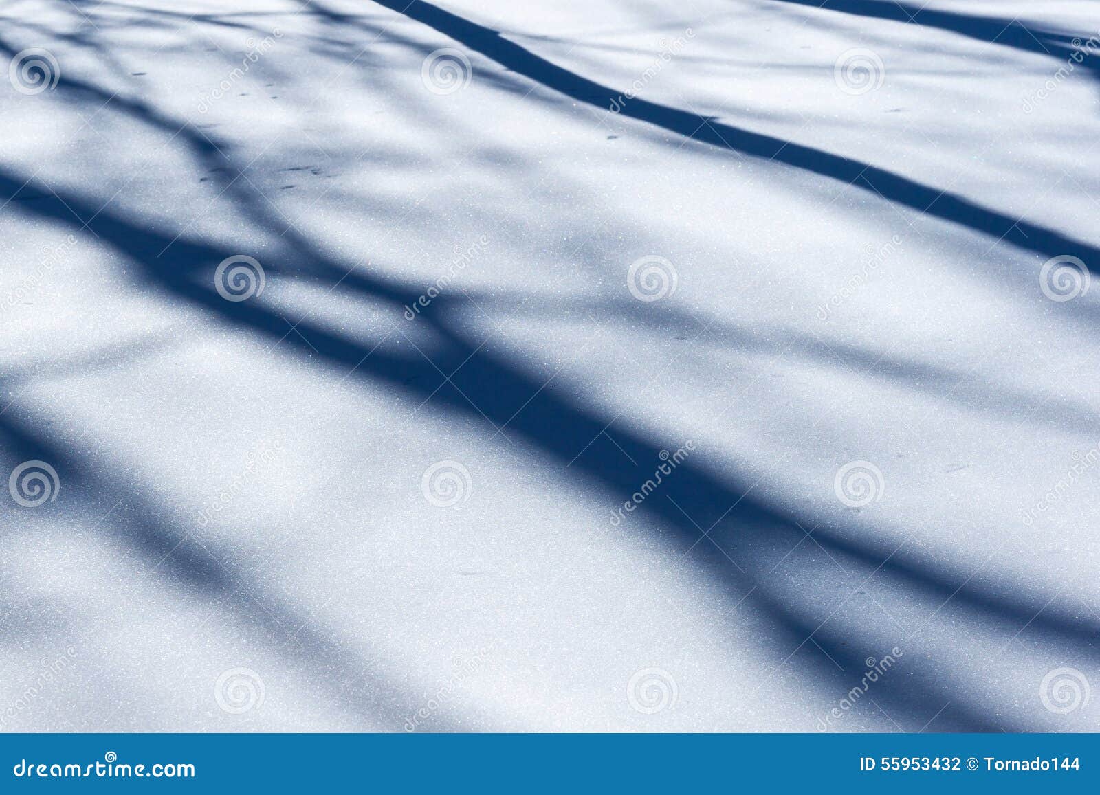 Snow Pattern. Shadows of Trees on the Snow Surface Stock Photo - Image ...