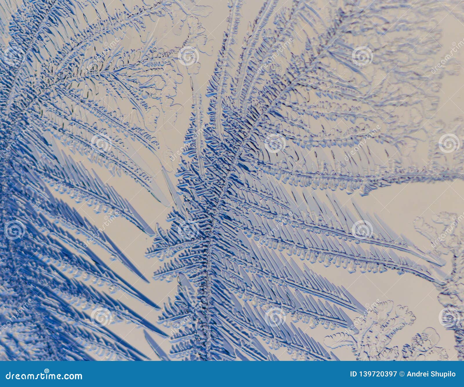 Snow Patterns on Glass As an Abstract Background Stock Image - Image of ...