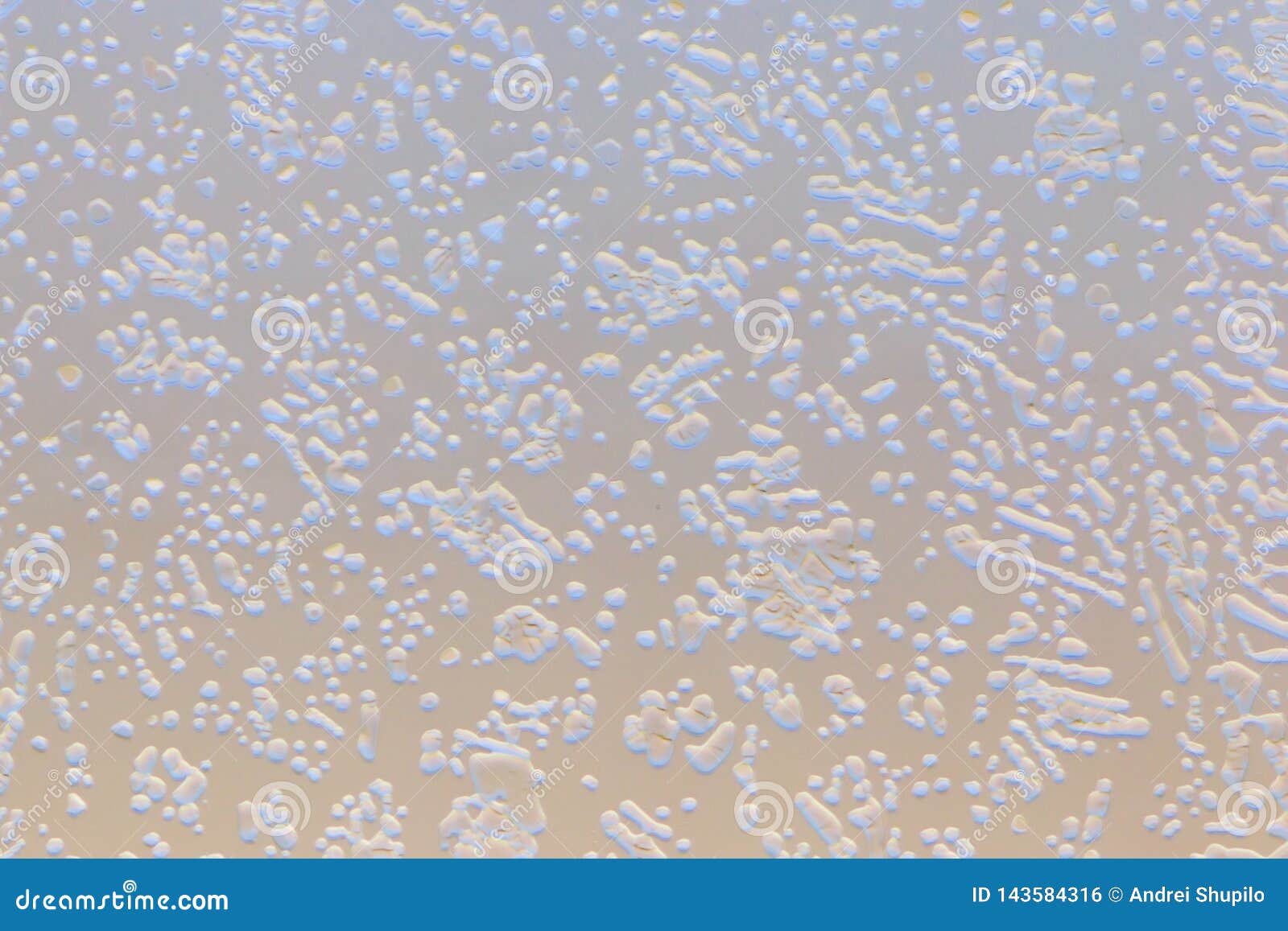 Snow Patterns on Glass As an Abstract Background Stock Photo - Image of ...