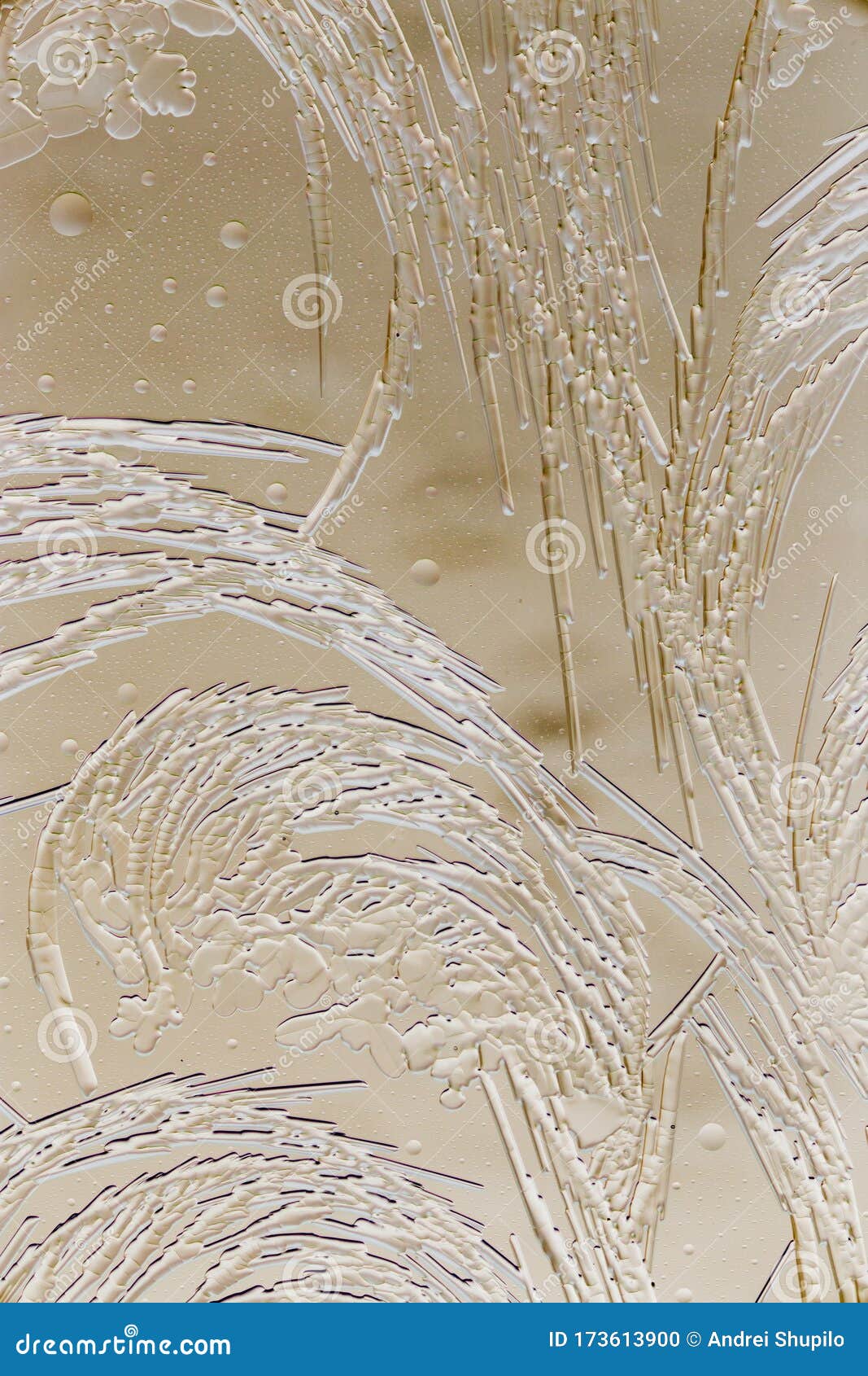 Snow Patterns on Glass As an Abstract Background Stock Photo - Image of ...
