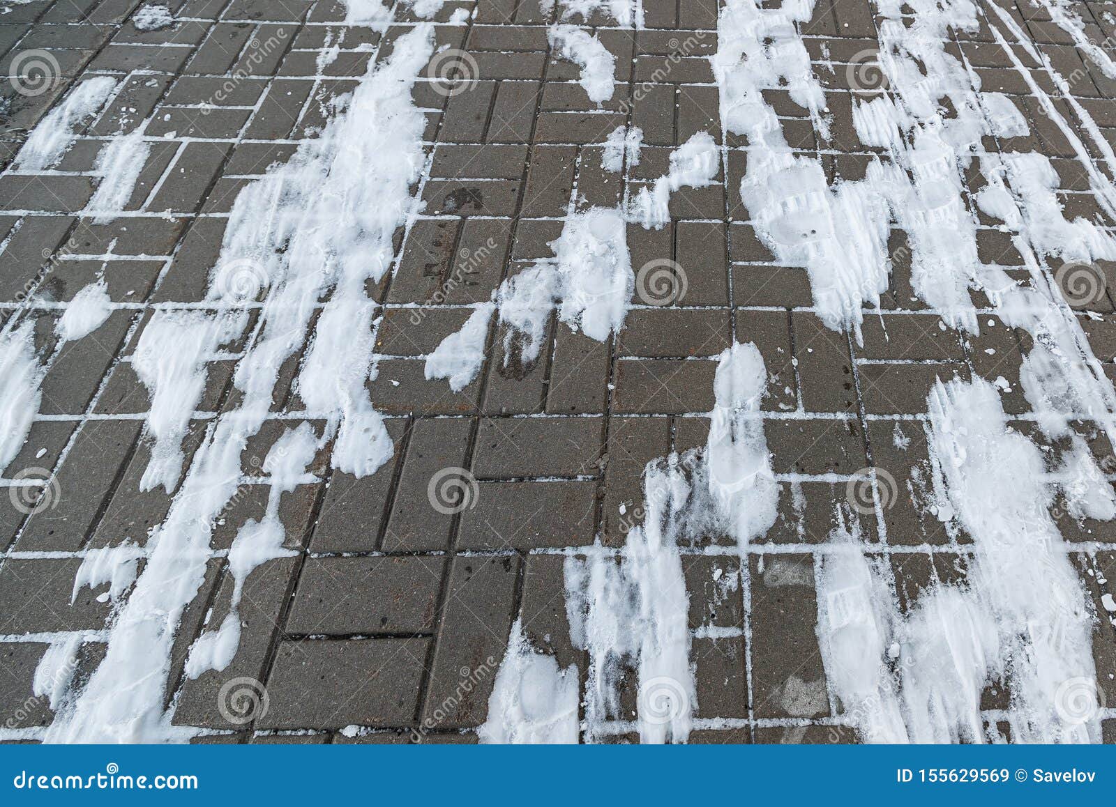 Wet And Slippery Brick Path In Tropical Forest. Royalty-Free Stock ...