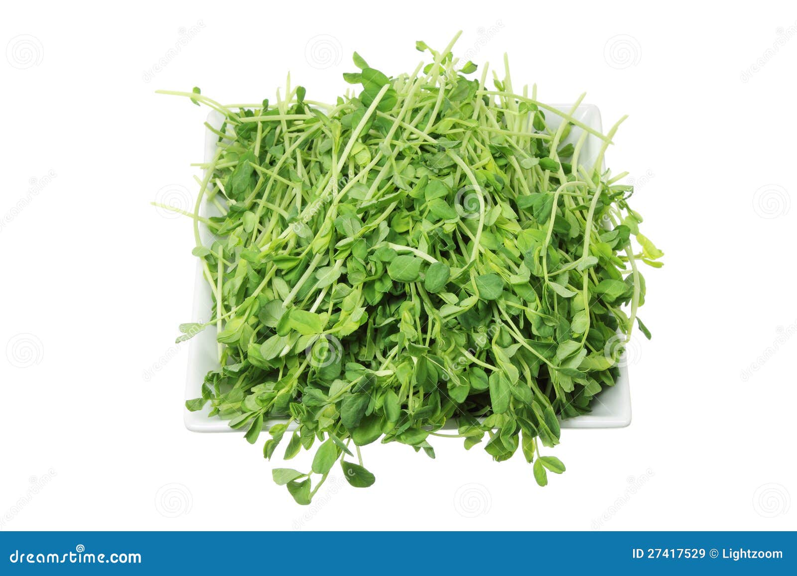 Snow Pea Sprouts stock image. Image of fresh, still, food - 27417529