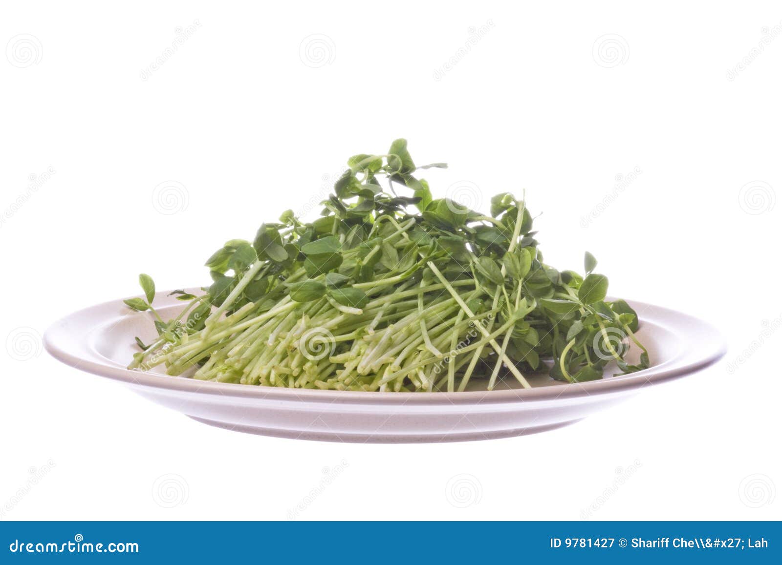 Snow Pea Sprouts on Plate Isolated Stock Image - Image of seeds ...