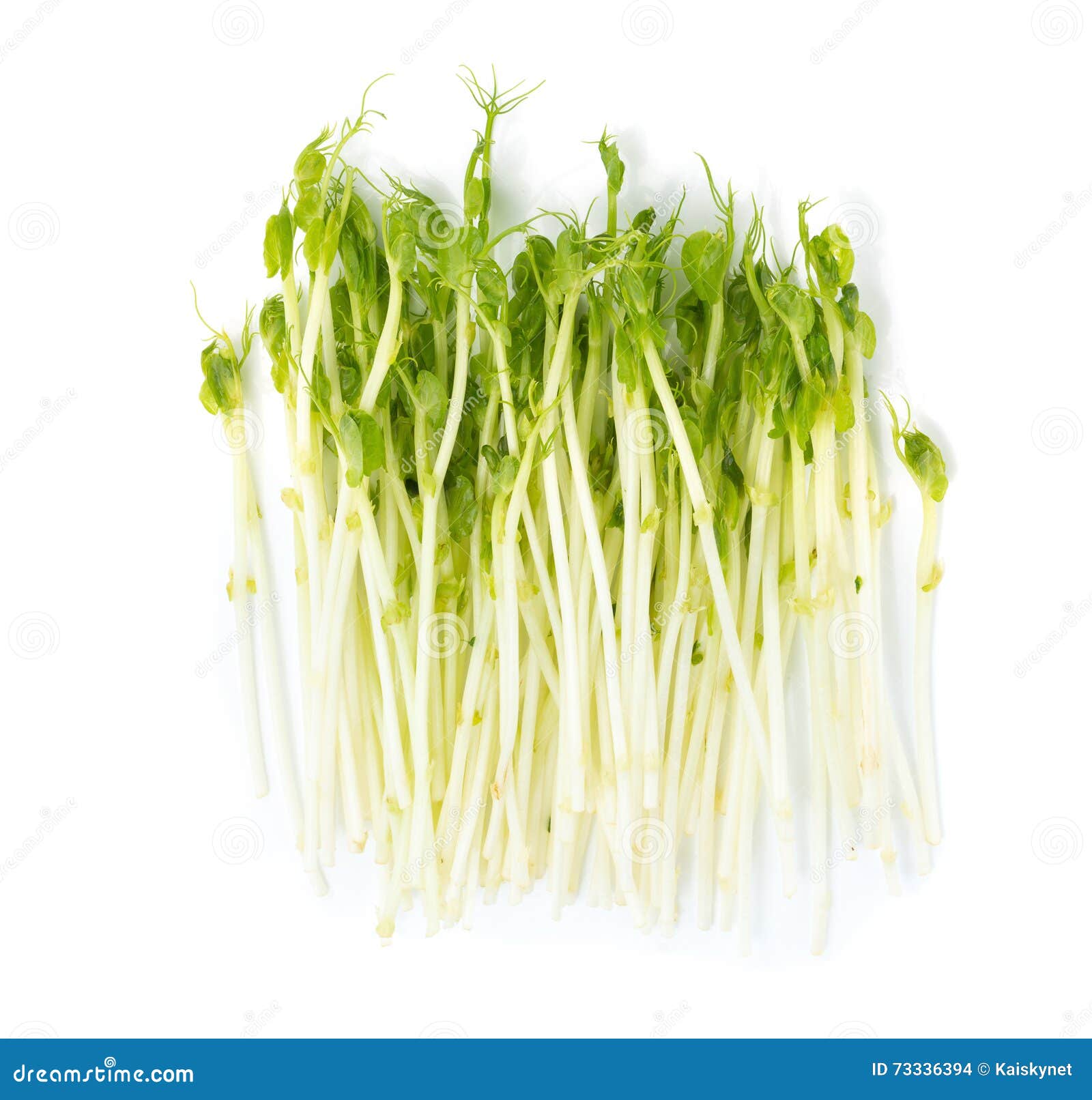 Snow Pea Sprouts on White Background Stock Photo - Image of nutritious ...