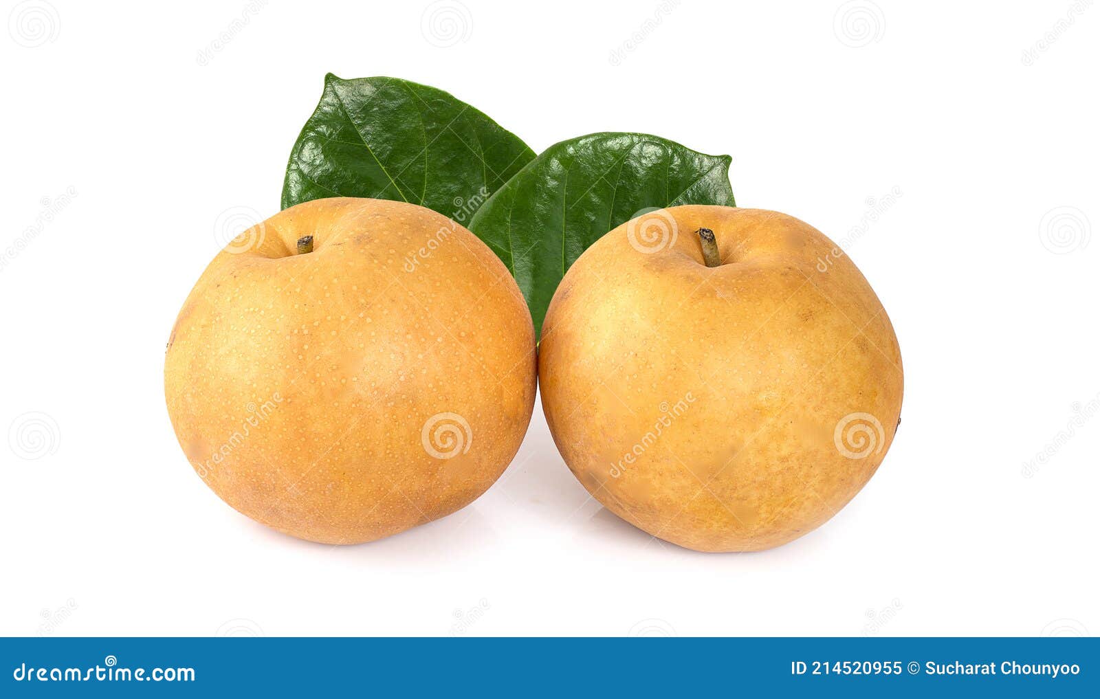 Snow Pear or Korea Pear Fresh Fruit with Slices Isolated on White ...