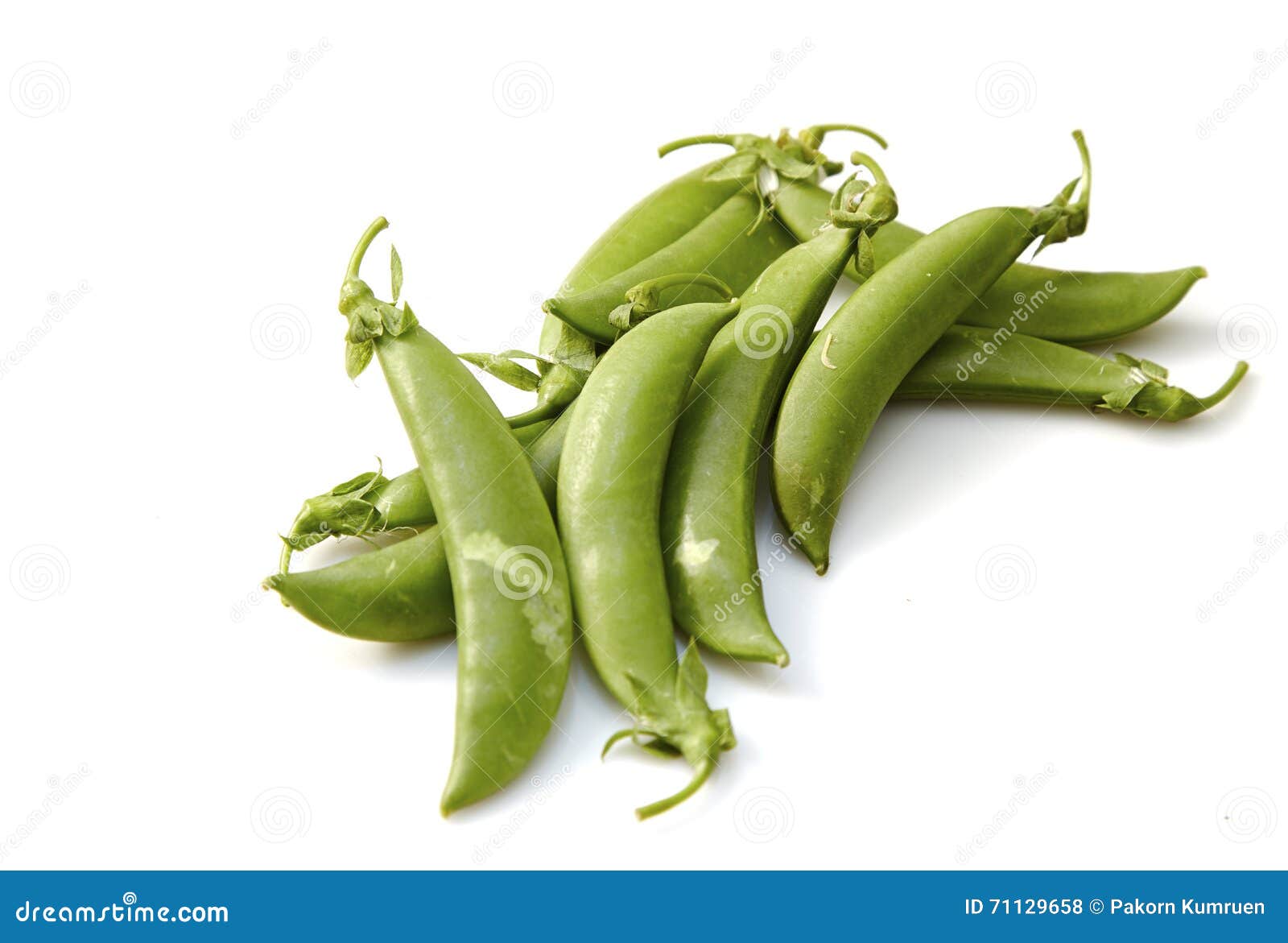 Snow peas stock photo. Image of cooking, salad, bright - 71129658