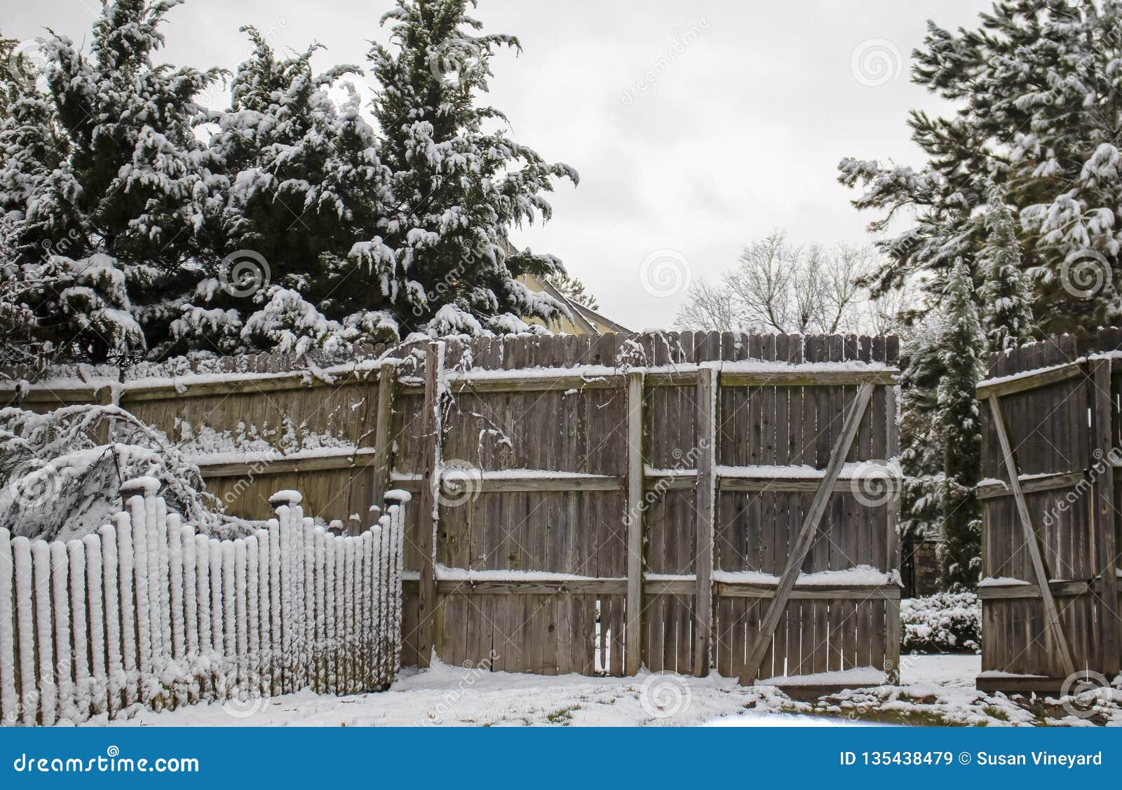 Snow on Picket Fence Intersecting Privacy Fence with Open Gate and ...