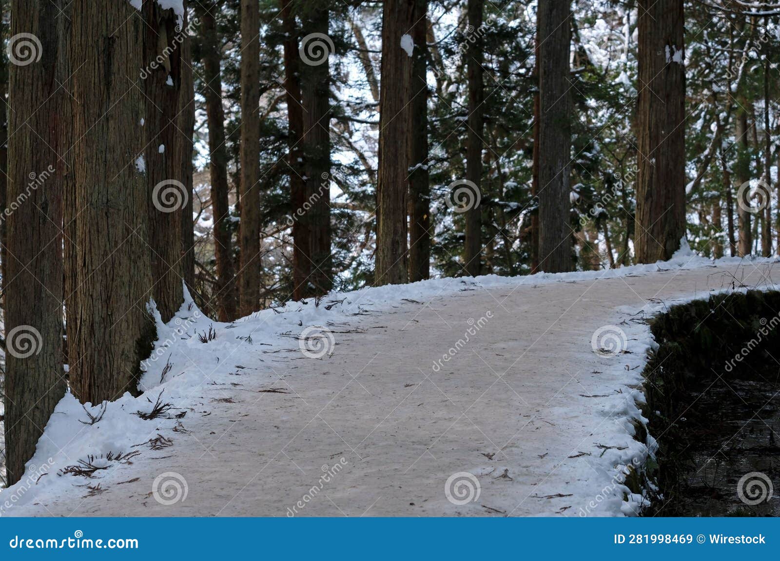 The Snow is Piled and Falling Down on this Path in the Woods Stock ...