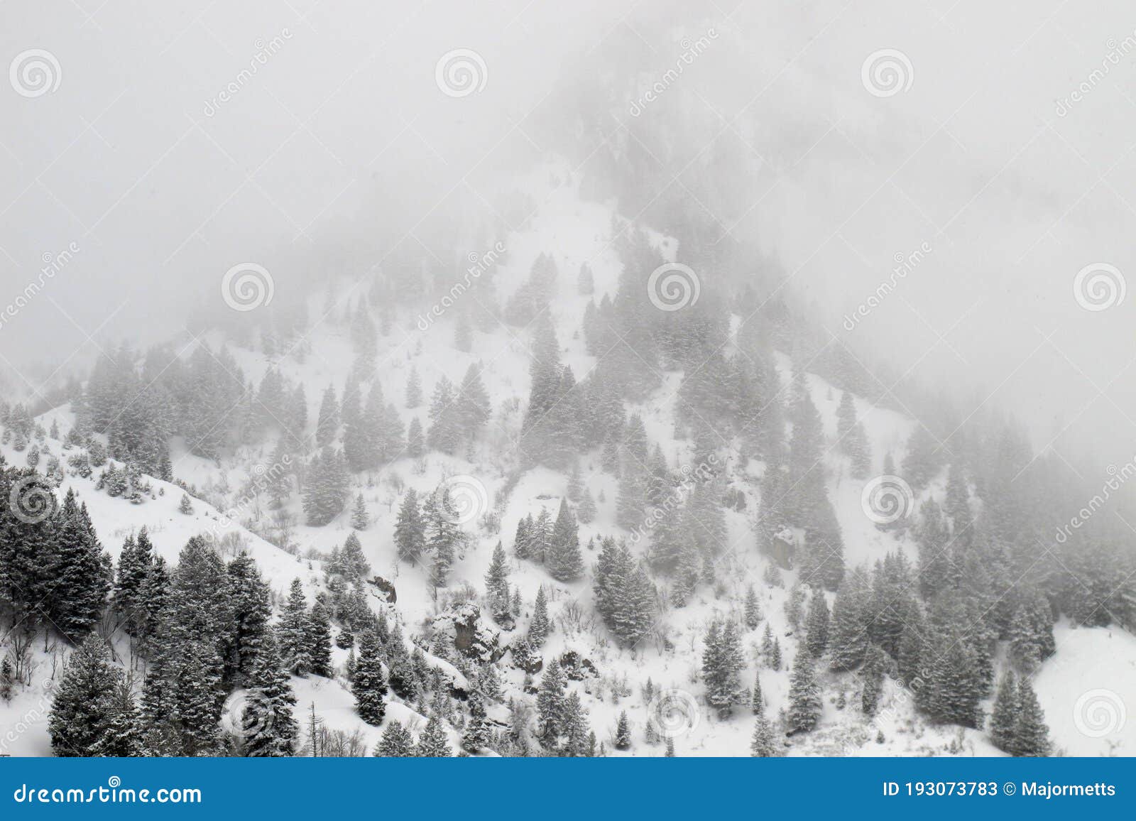 Snow on Pine Tree Mountain, Horizontal Orientation Stock Image - Image ...