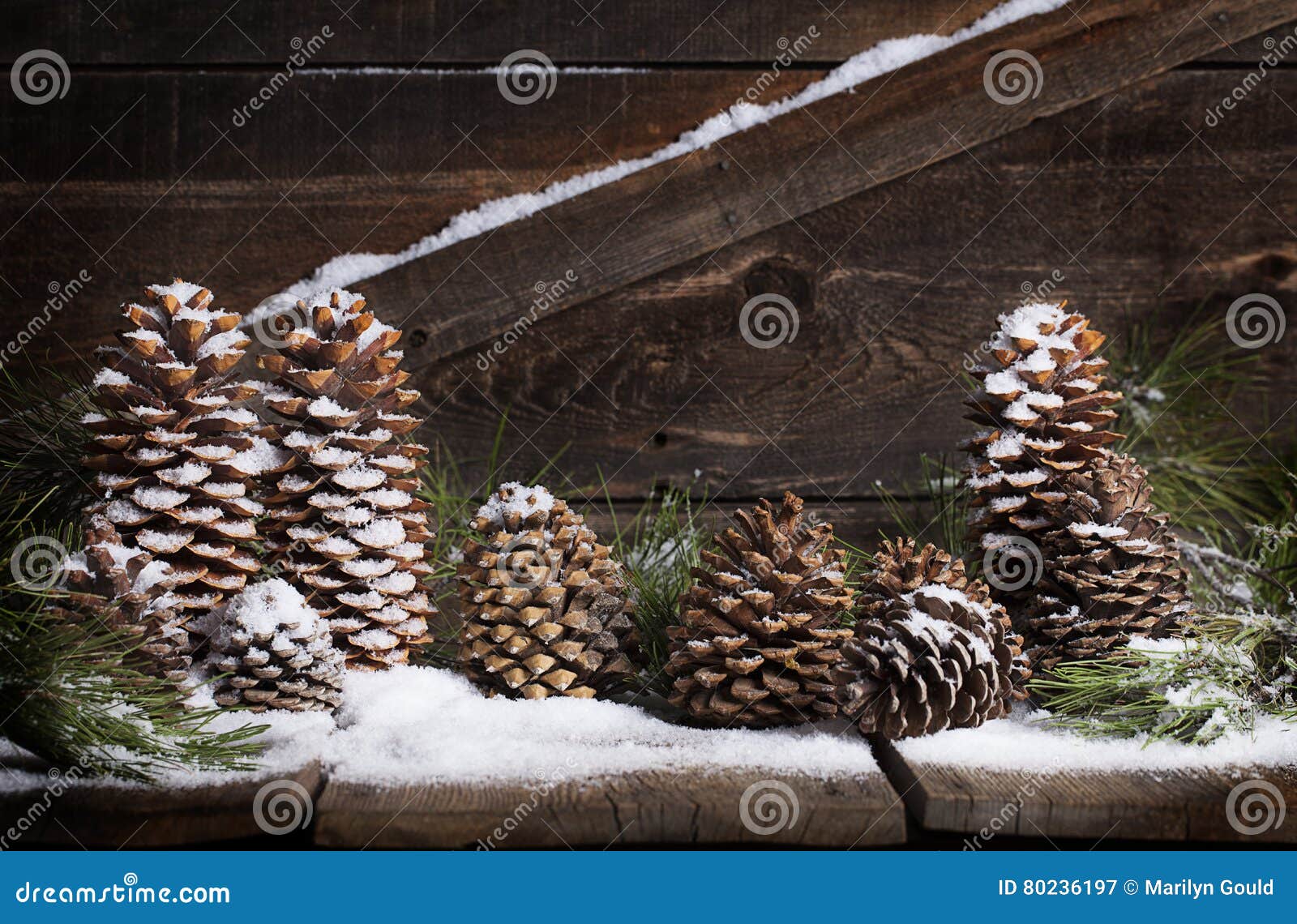 Snow Pinecones stock image. Image of pinecones, rustic - 80236197