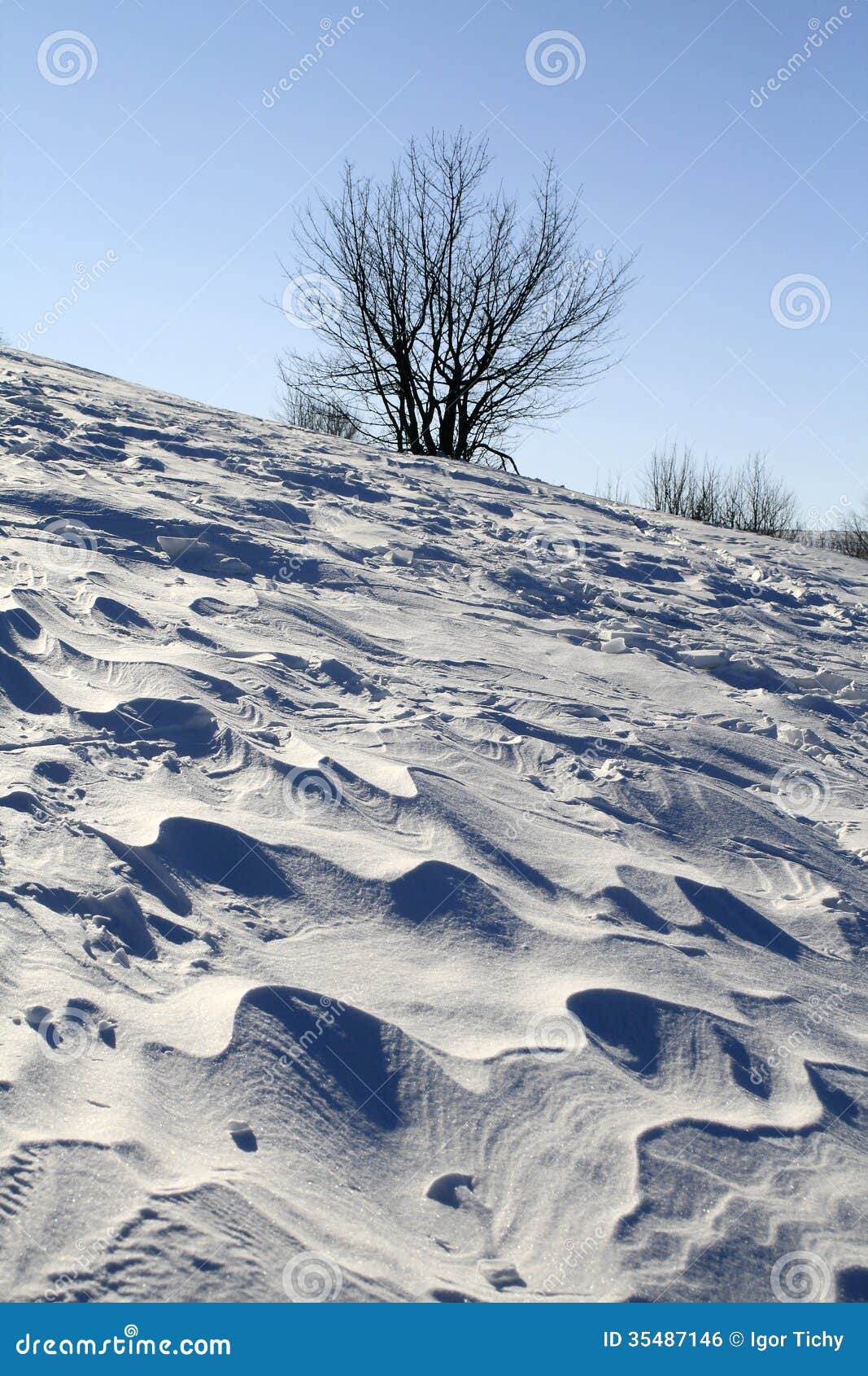 Snow Plain Blown by a Wind stock photo. Image of ground - 35487146