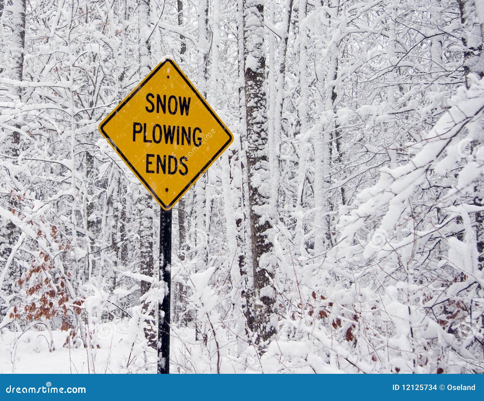Snow Plowing Ends Sign stock photo. Image of scenic, beautiful - 12125734