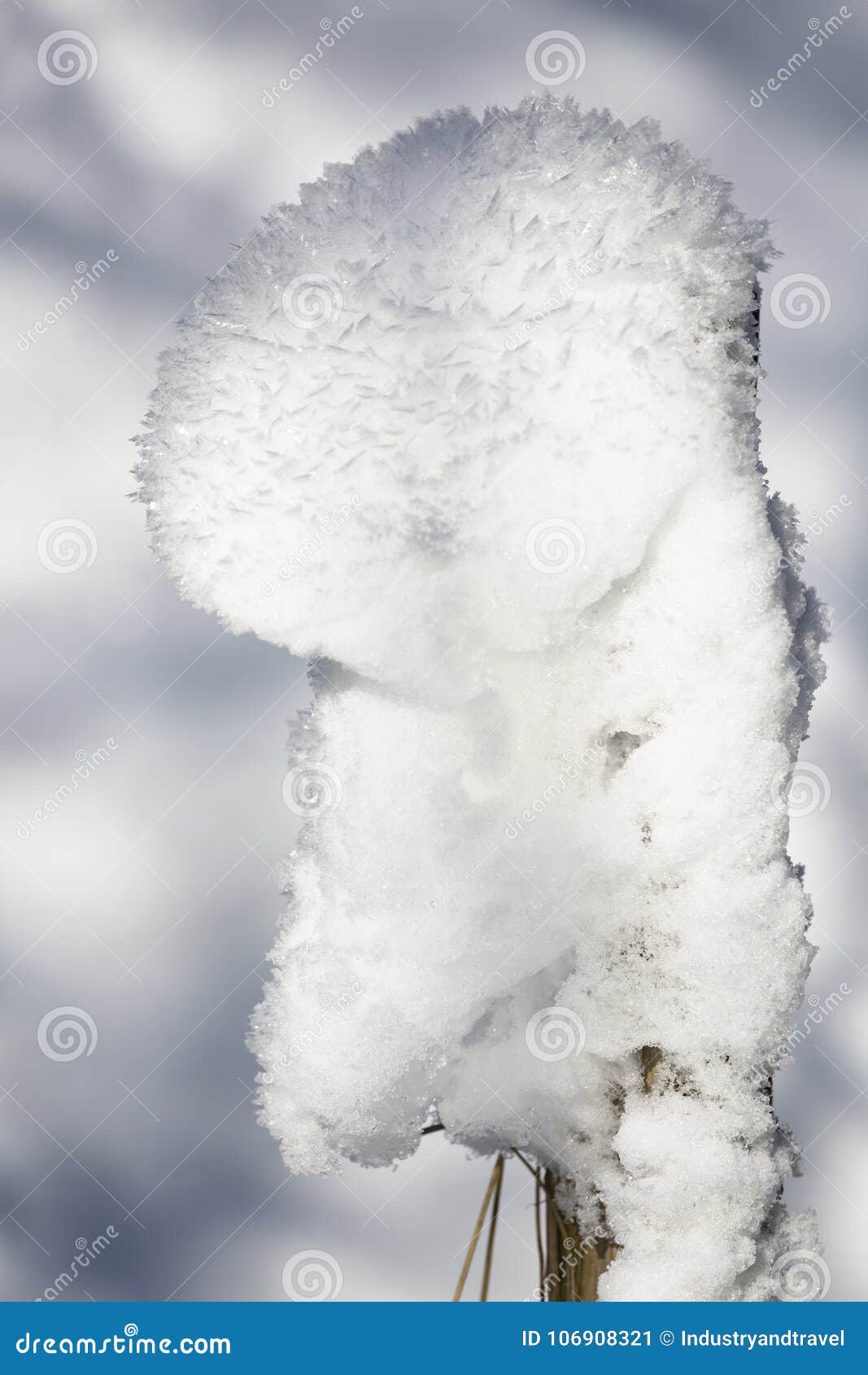 Snow on Pole and Ice Flowers Stock Image - Image of shiny, elaborate ...