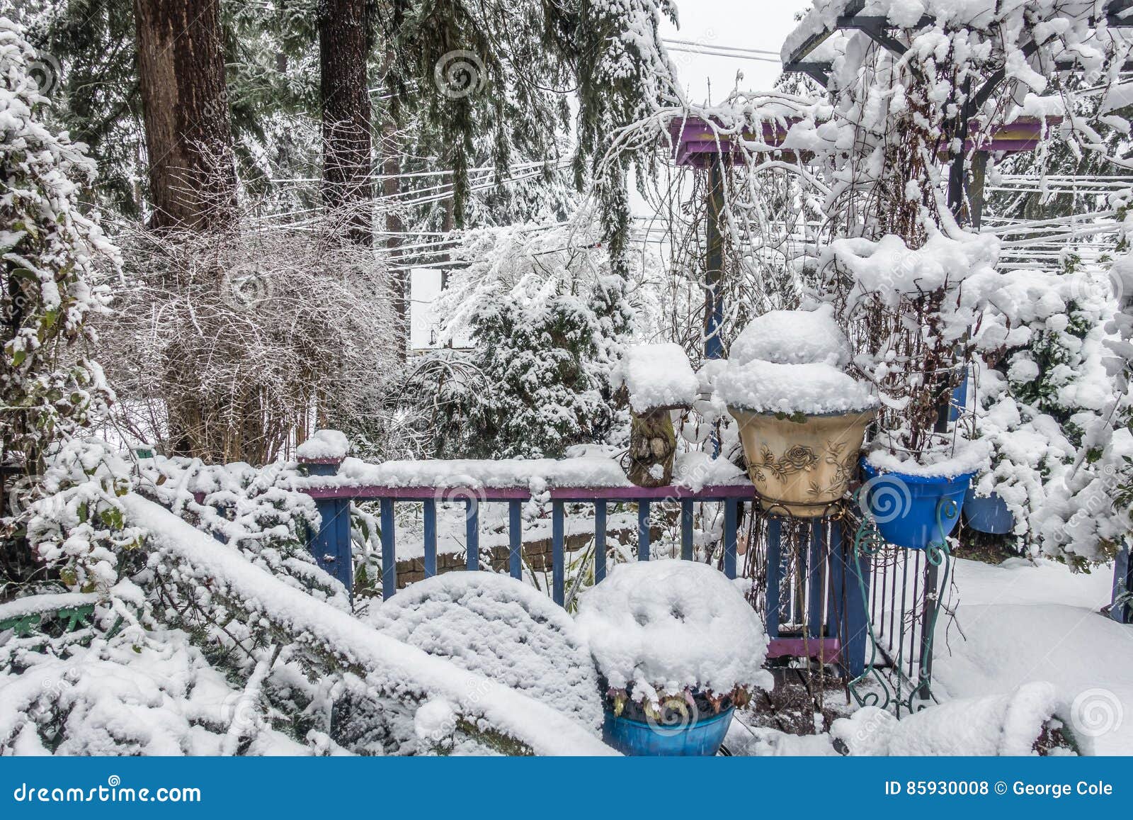 Snow on Porch stock photo. Image of fluffy, trees, winter - 85930008