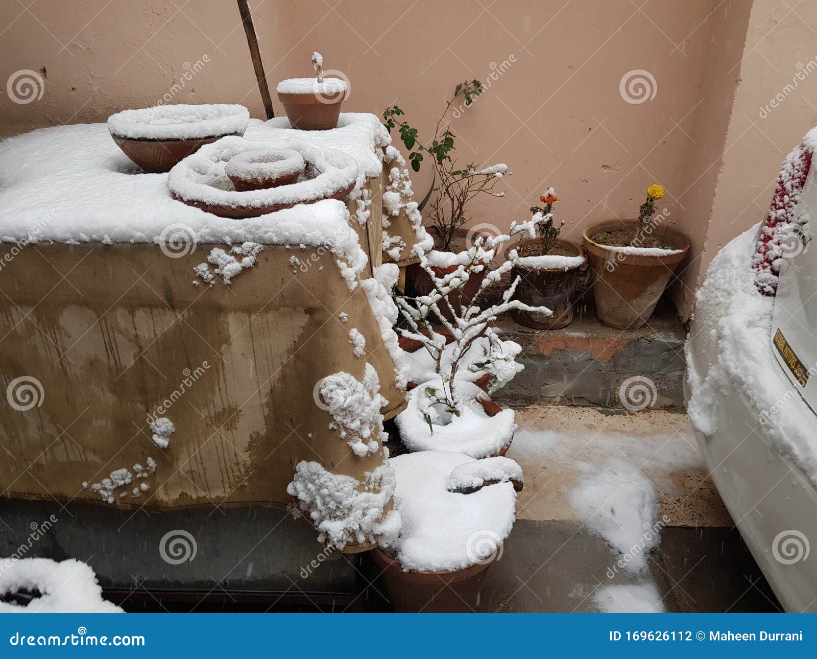 Snow on Pots and on Flowers Stock Photo - Image of sculpture, pots ...